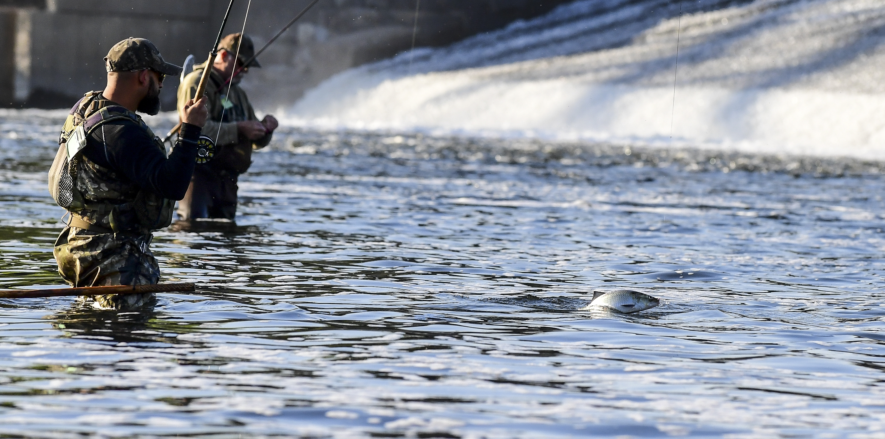2025 Bi-State Shad Fishing Contest on the Delaware River ...