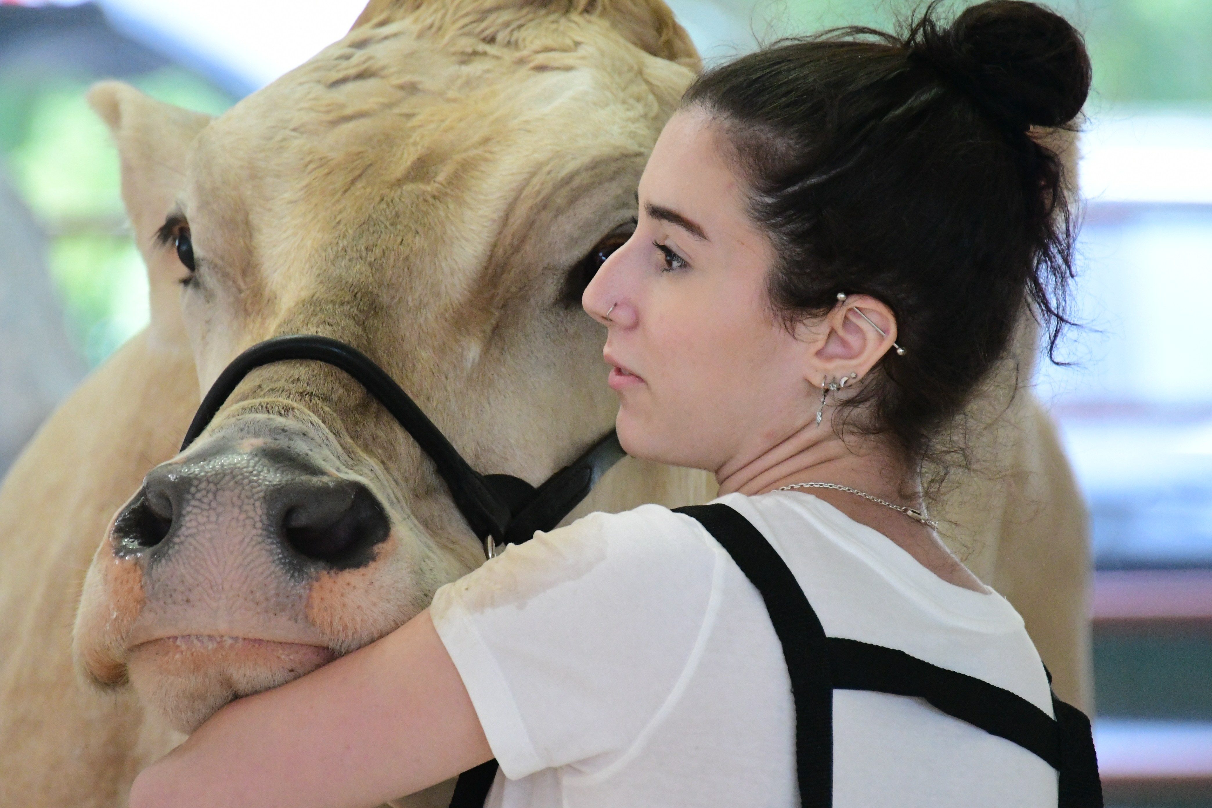 Hunterdon County 4-H & Agricultural Fair - nj.com