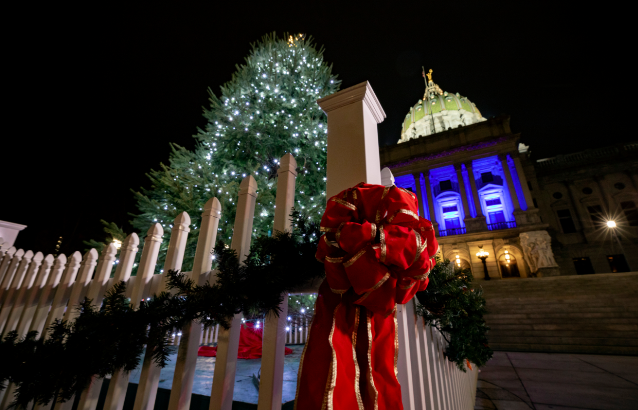 Lighting of 2020 Pa. Capitol Christmas tree - pennlive.com