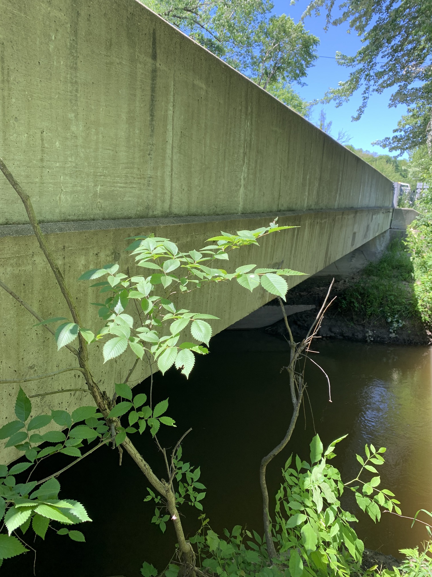Maple Island Road bridge replacement - mlive.com