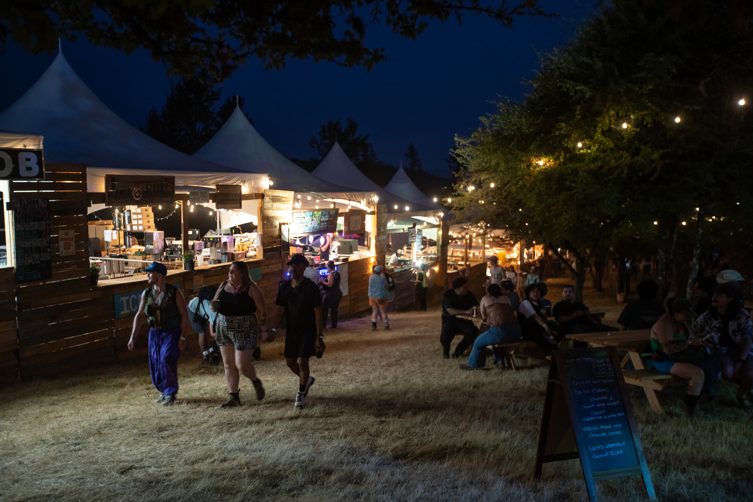 Pickathon 2025 - oregonlive.com