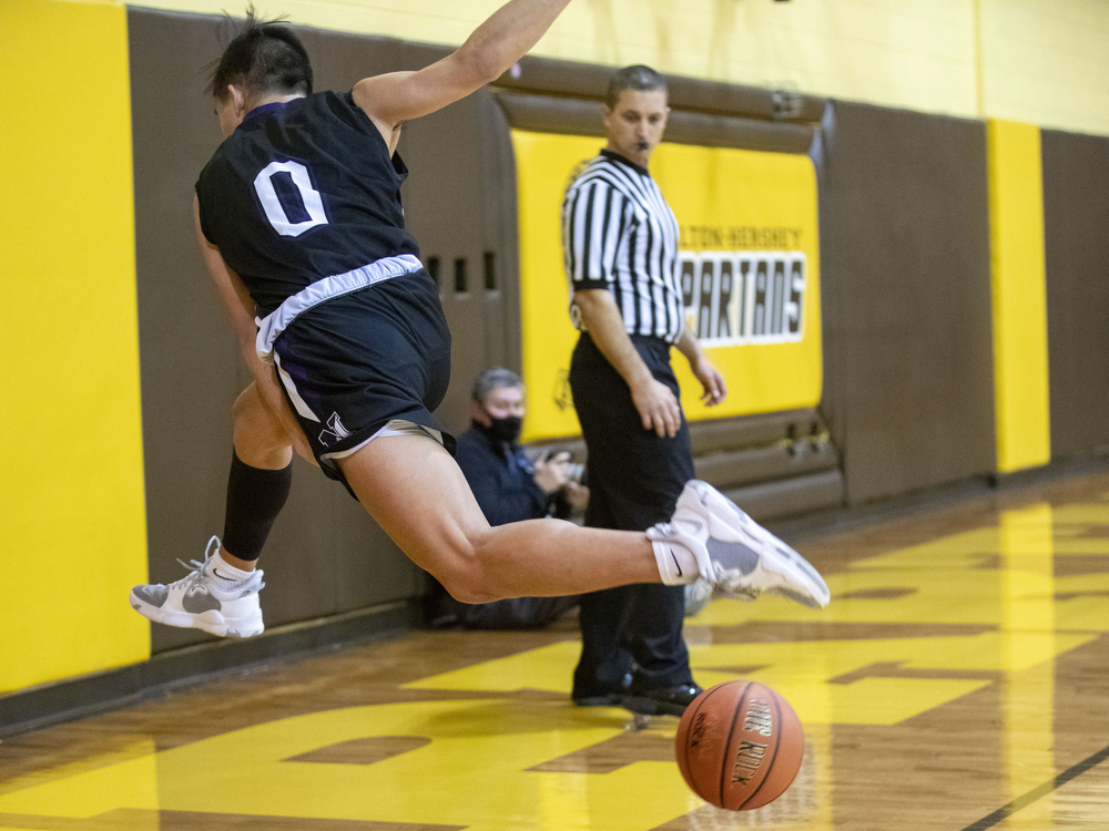Central Dauphin boys defeat Northern York - pennlive.com