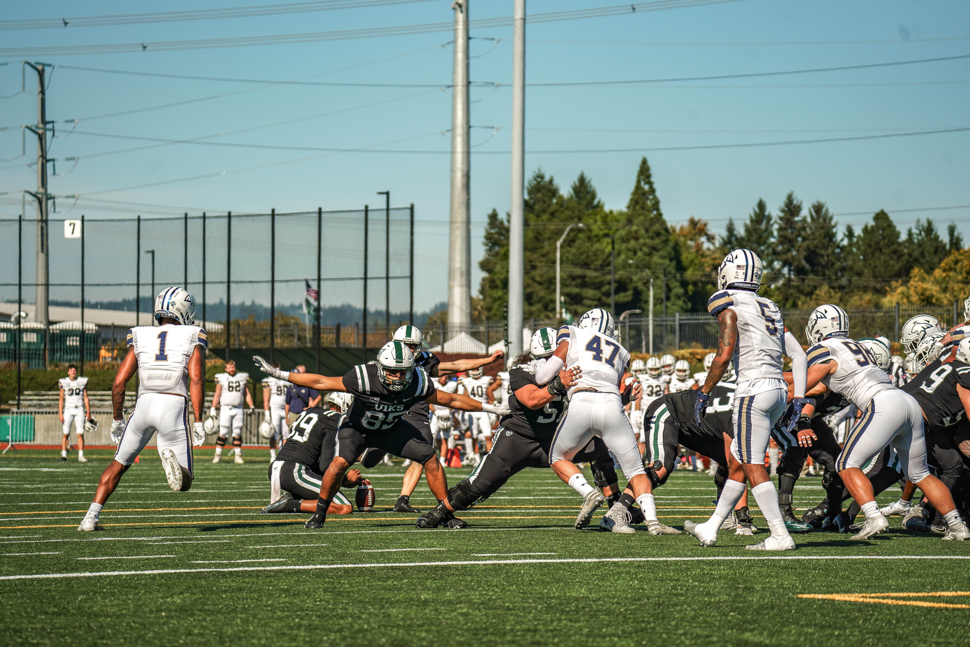 Portland State Vikings football vs. Montana State Bobcats - oregonlive.com