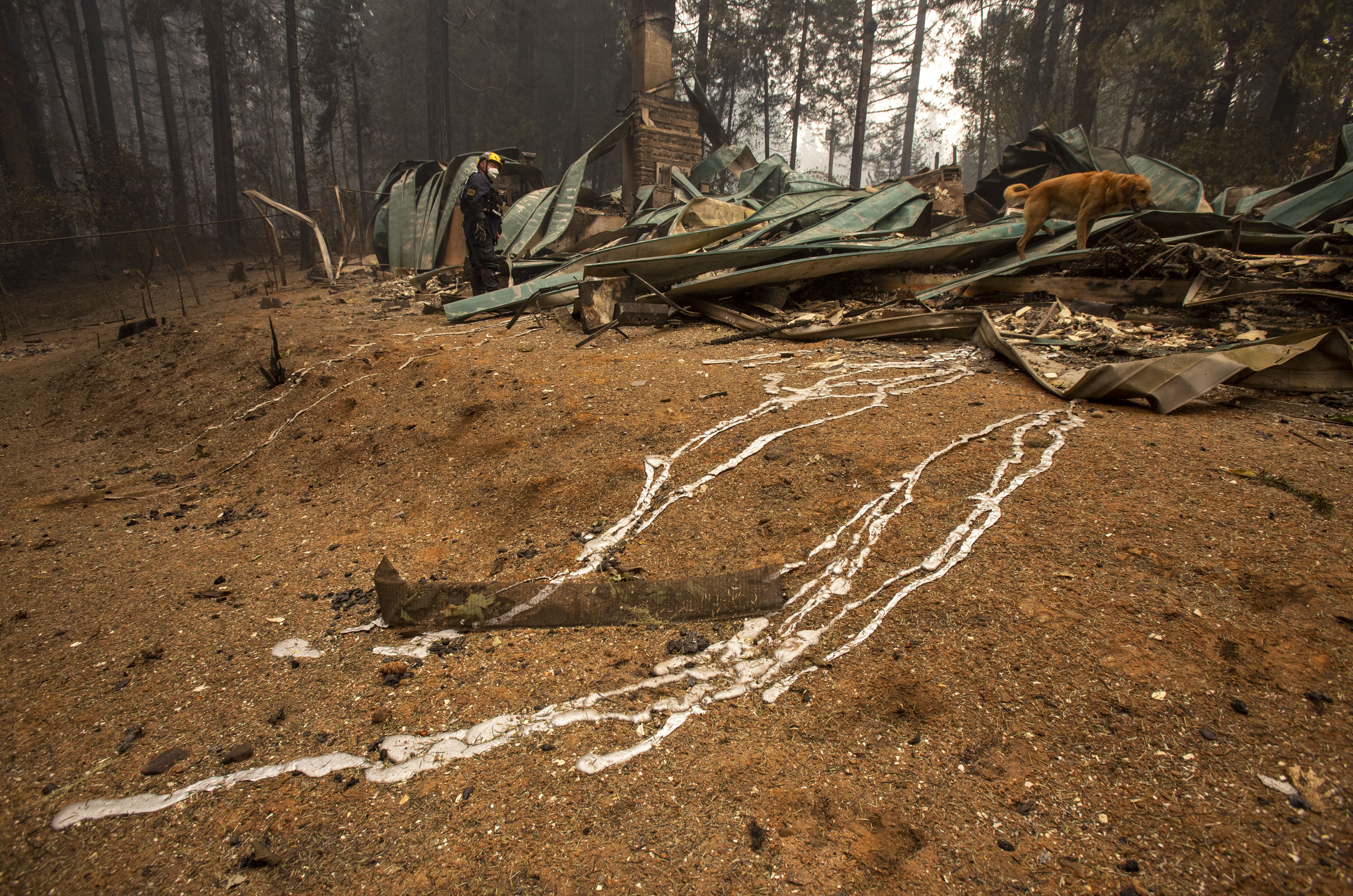 Holiday Farm wildfire damage - oregonlive.com