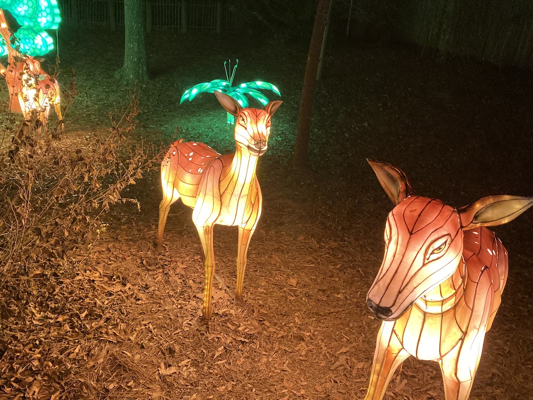 Glow Wild at Birmingham Zoo - al.com