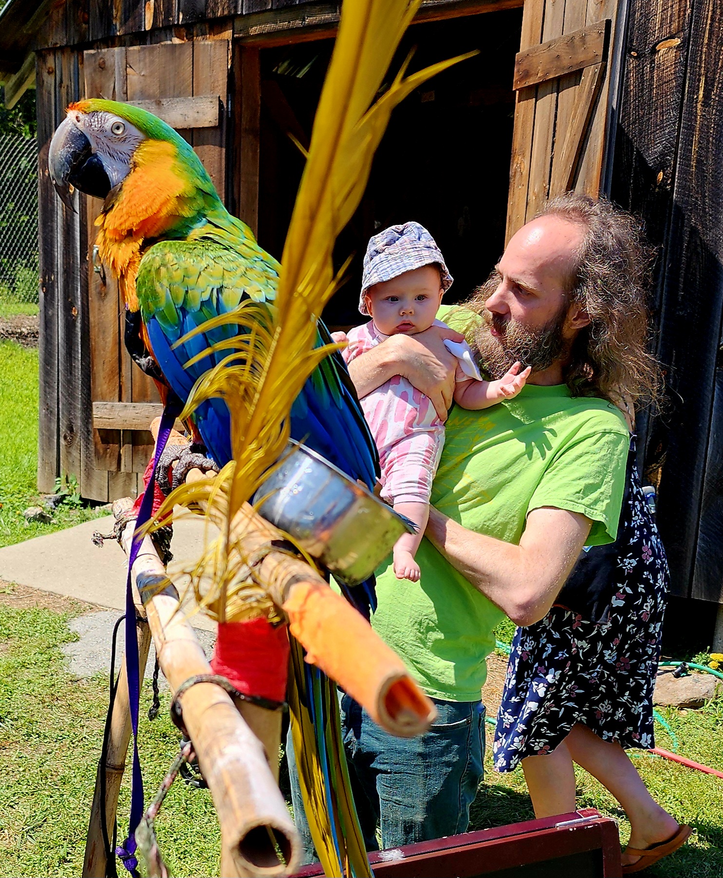 Littleville Fair in Chester 2025 (photos) - masslive.com