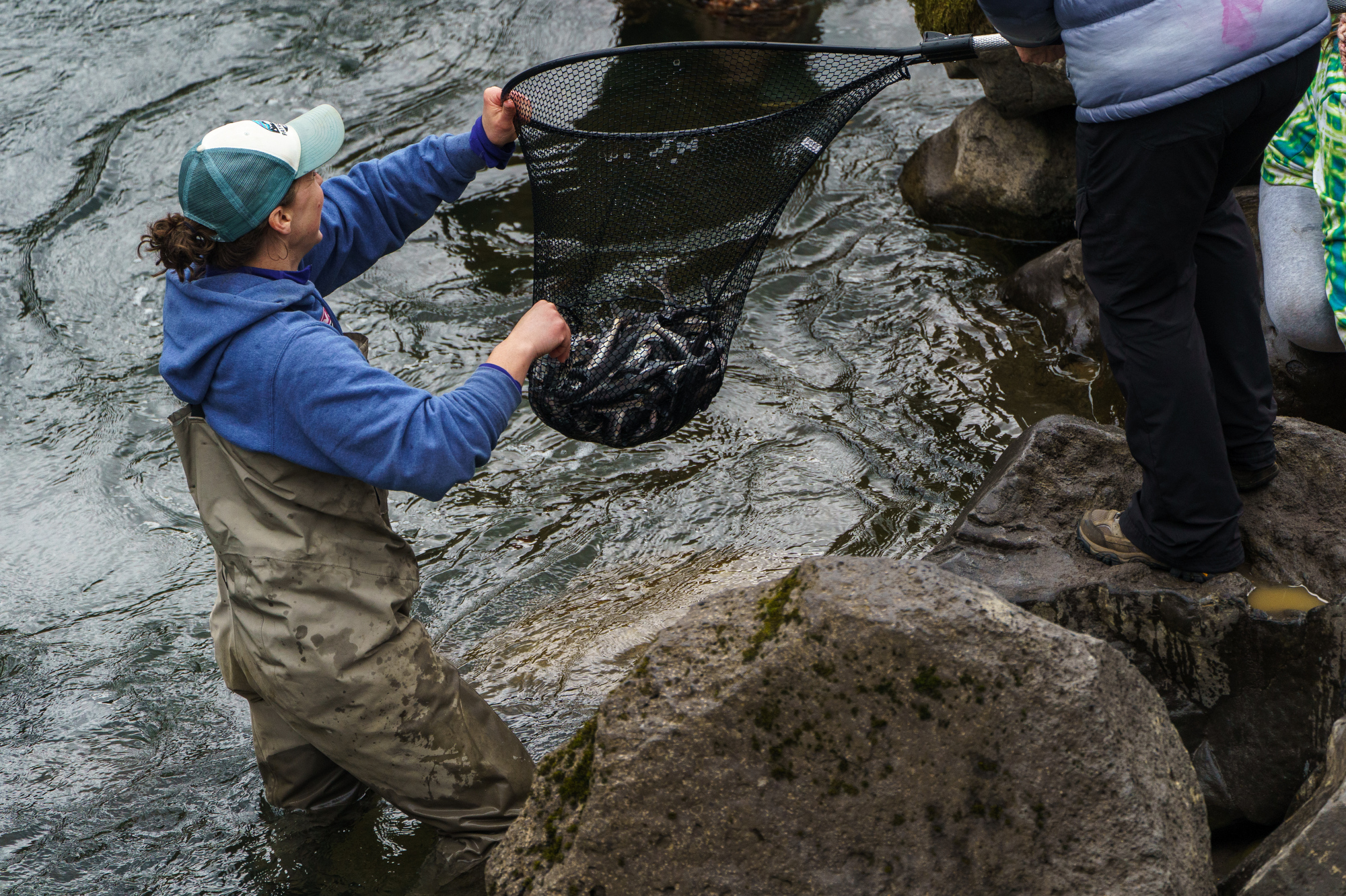 Smelt dipping returns to the lower Sandy River - oregonlive.com