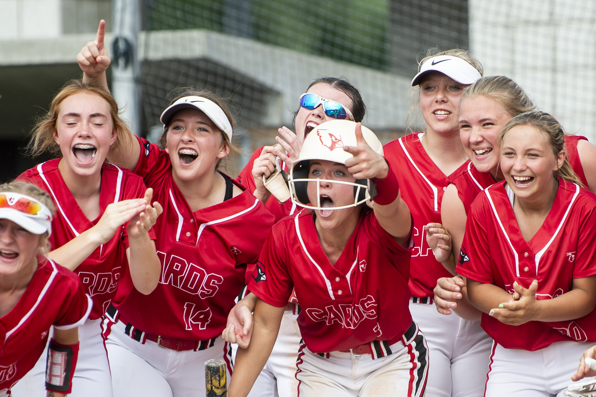 Millington softball defeats Richmond in quarterfinal - mlive.com