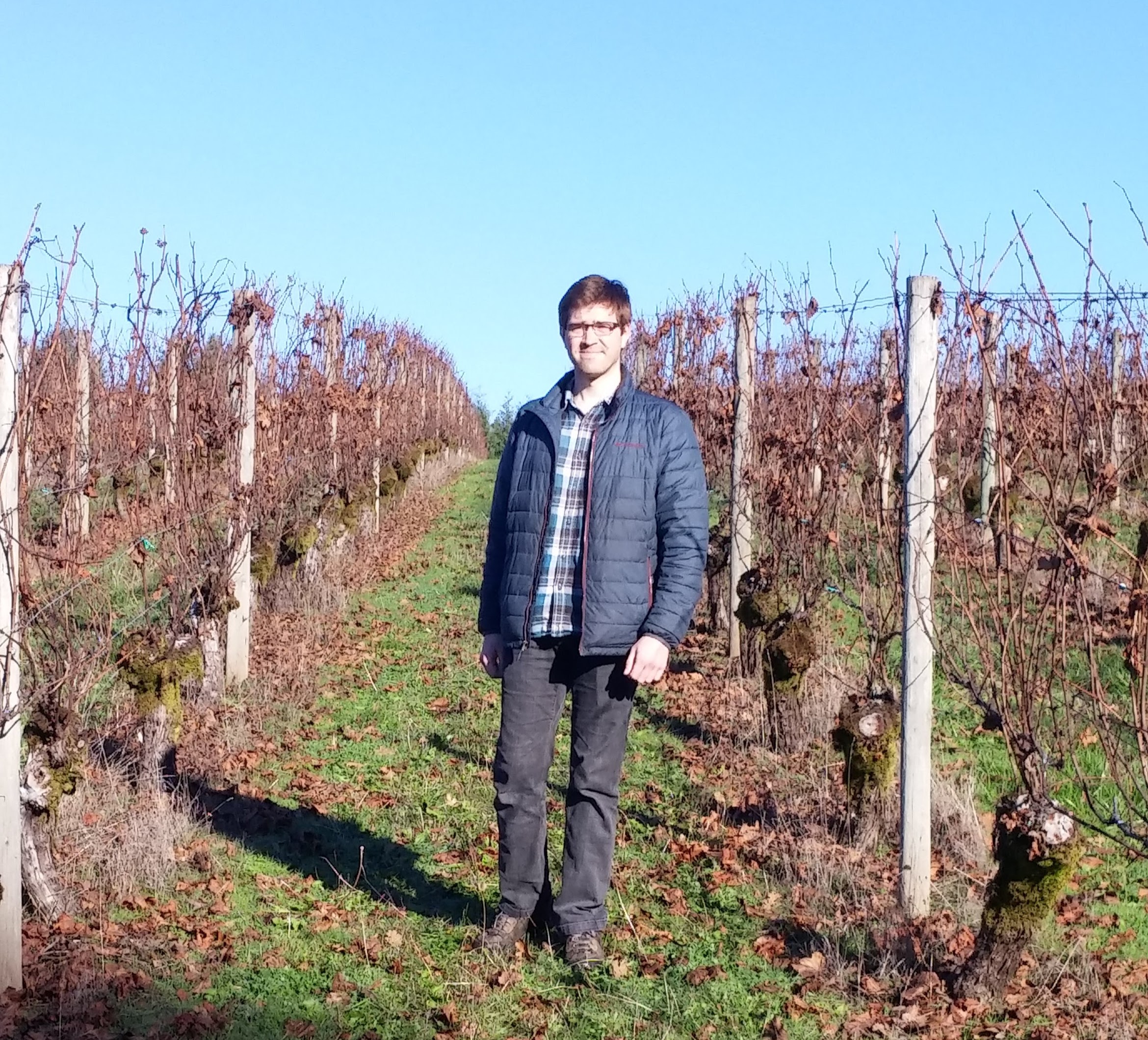 Risdall Ranch Winery gets its holiday miracle - oregonlive.com