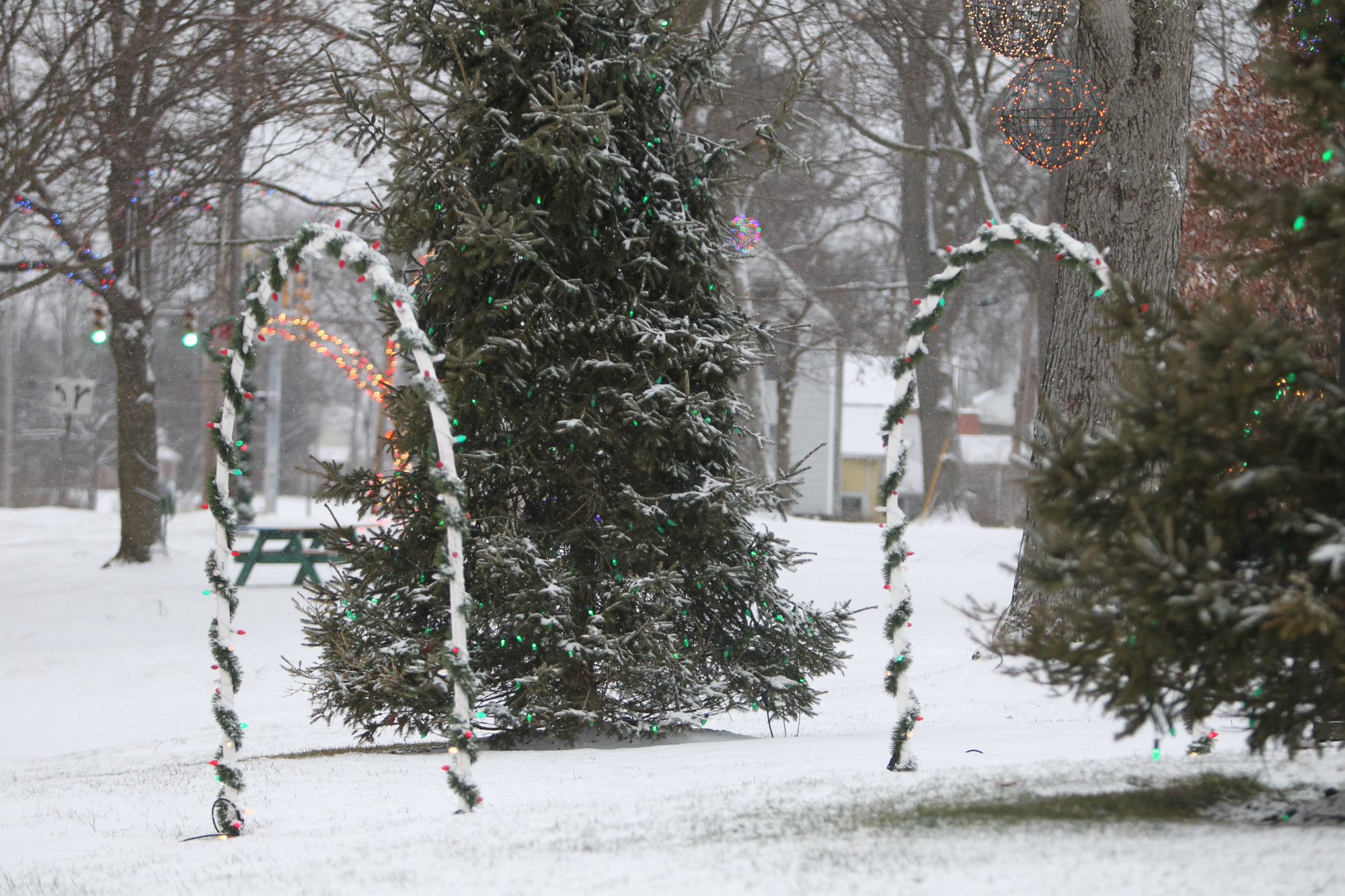 Scenic snowfall blankets Northeast Ohio, February 1, 2021 - cleveland.com