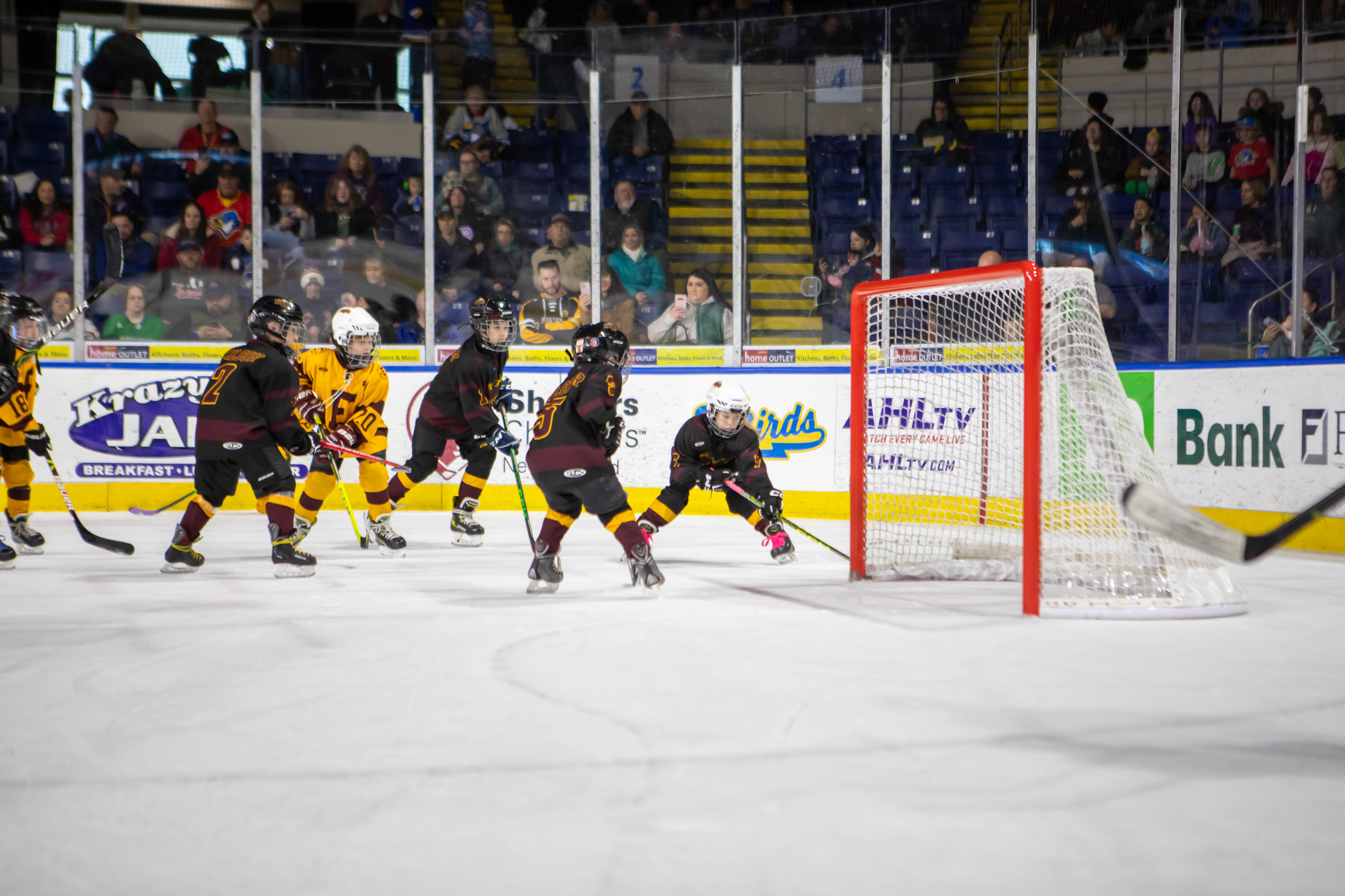 Springfield Thunderbirds VS Wilkes-Barre Scranton Penguins 1/15/24 ...
