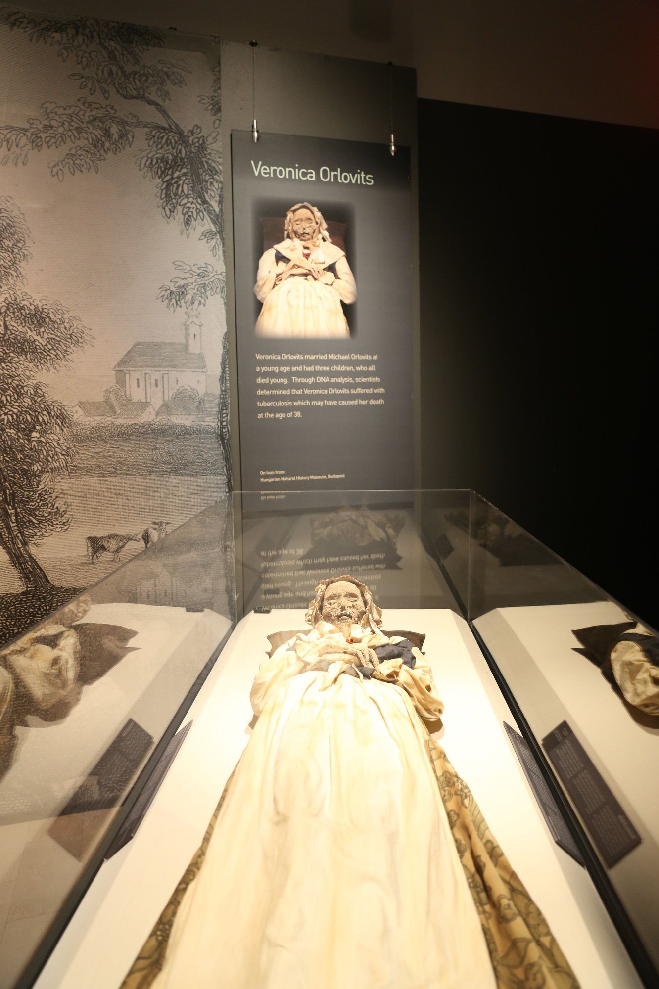 Mummies of the World on display at the Corner Gallery - cleveland.com