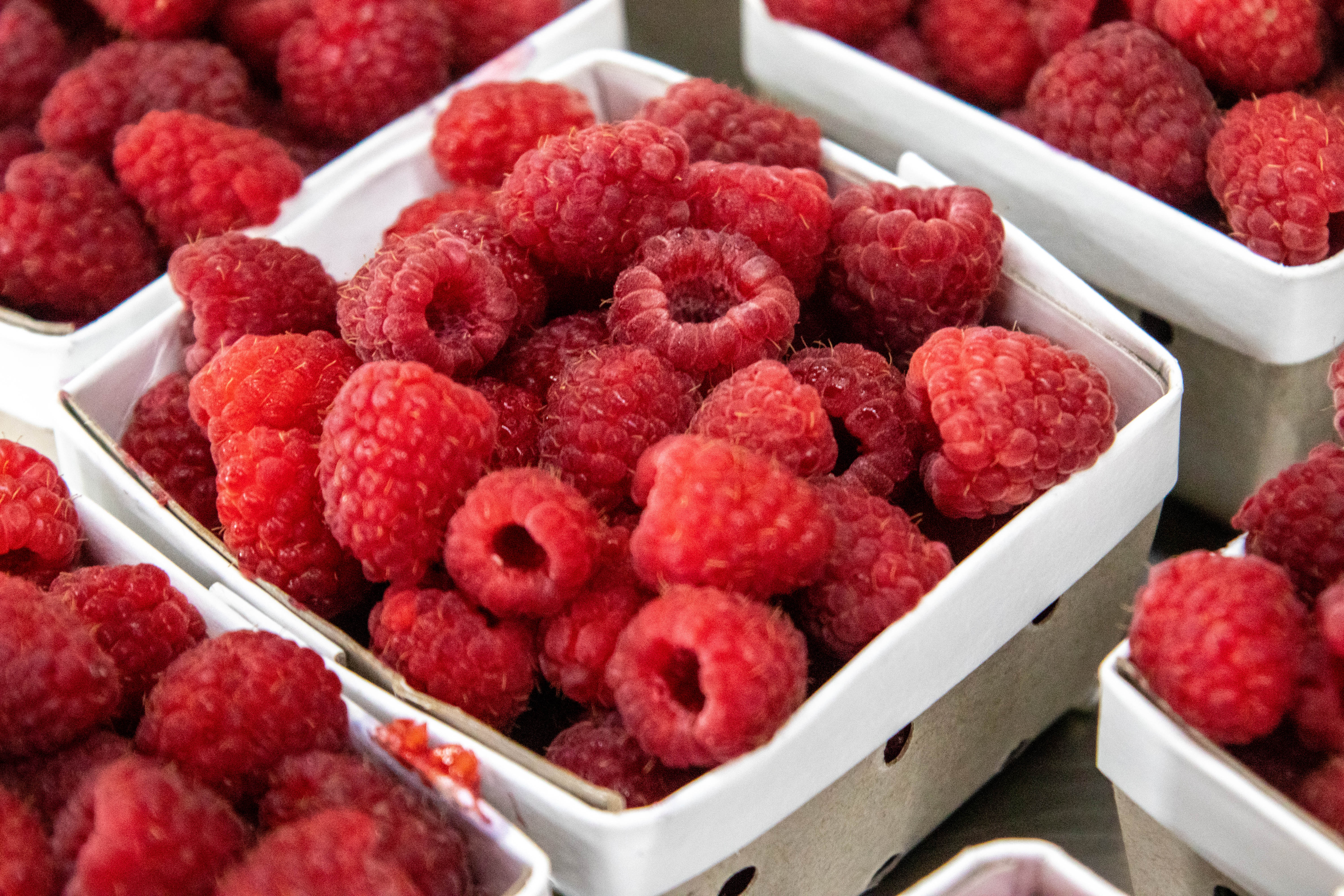 Reenders Blueberry Farms - mlive.com