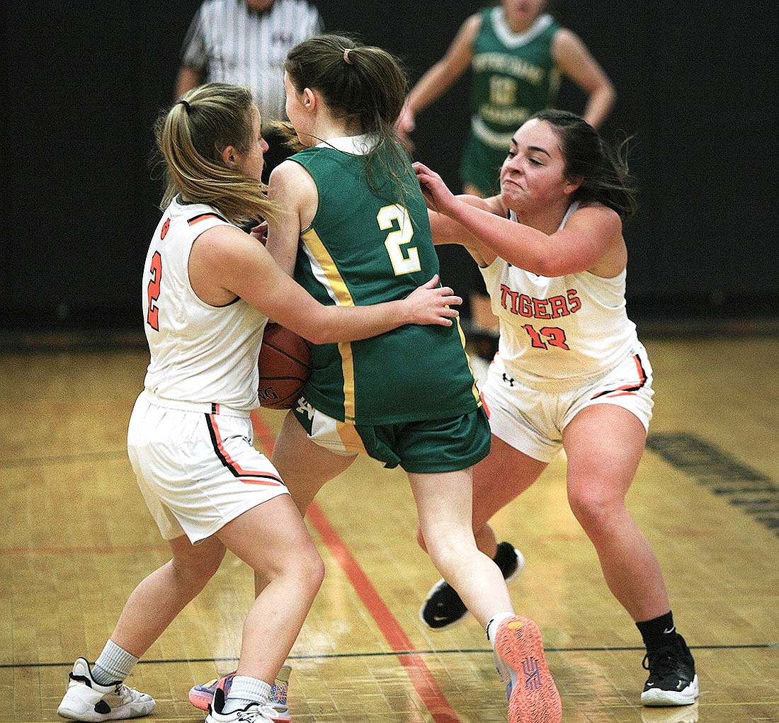 Notre Dame-Worcester vs South Hadley girls Basketball 3/9/22 - masslive.com