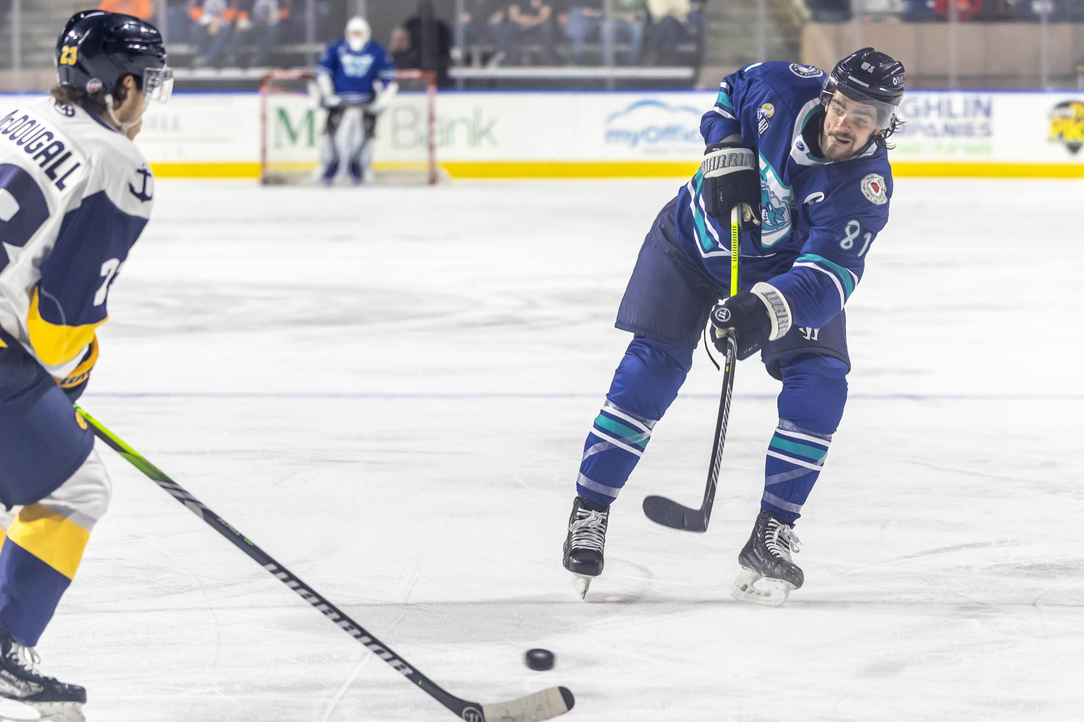 Worcester IceCats Night at the DCU Center - masslive.com
