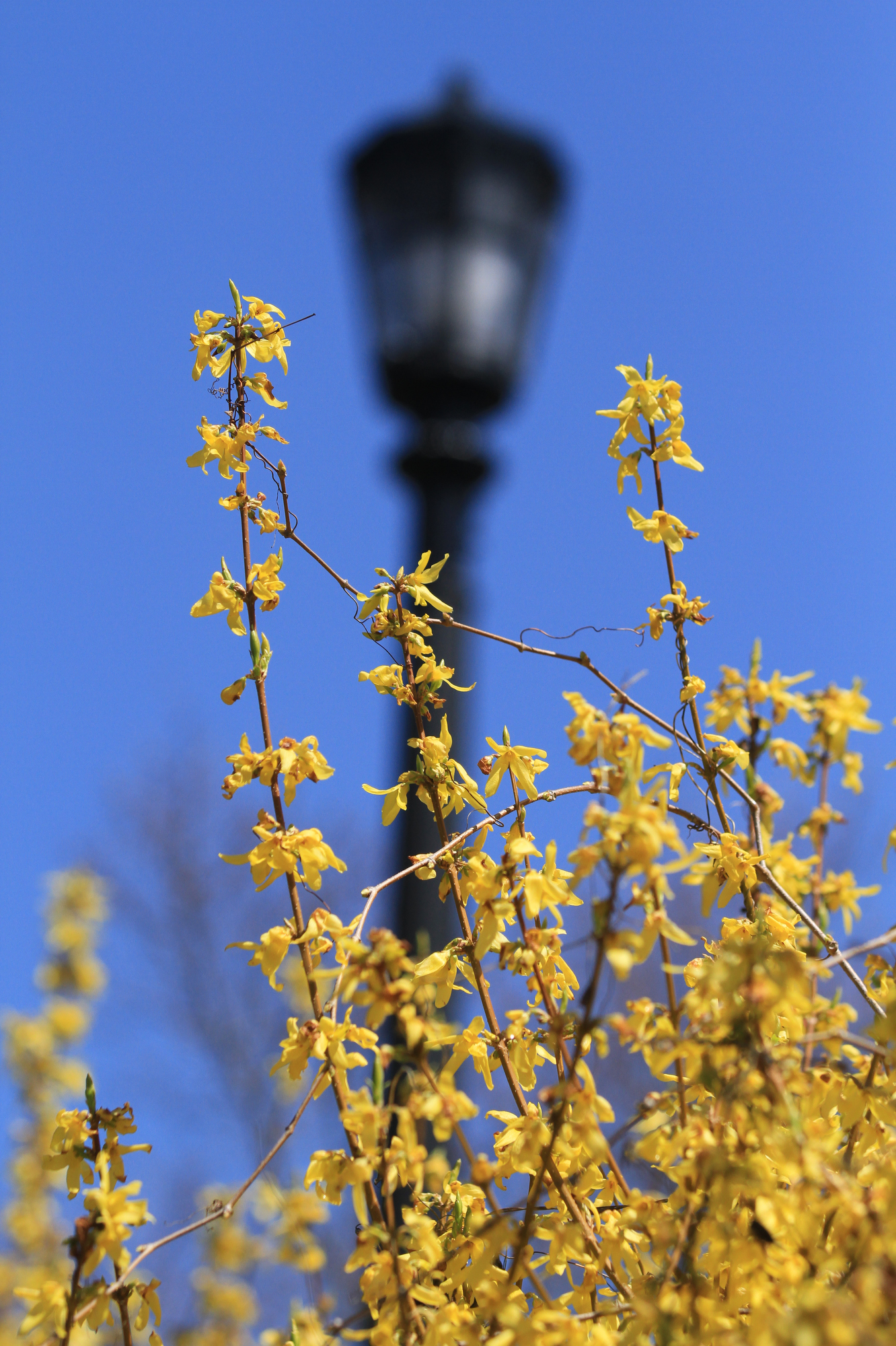 Spring is in the Northeast Ohio air 2022 - cleveland.com