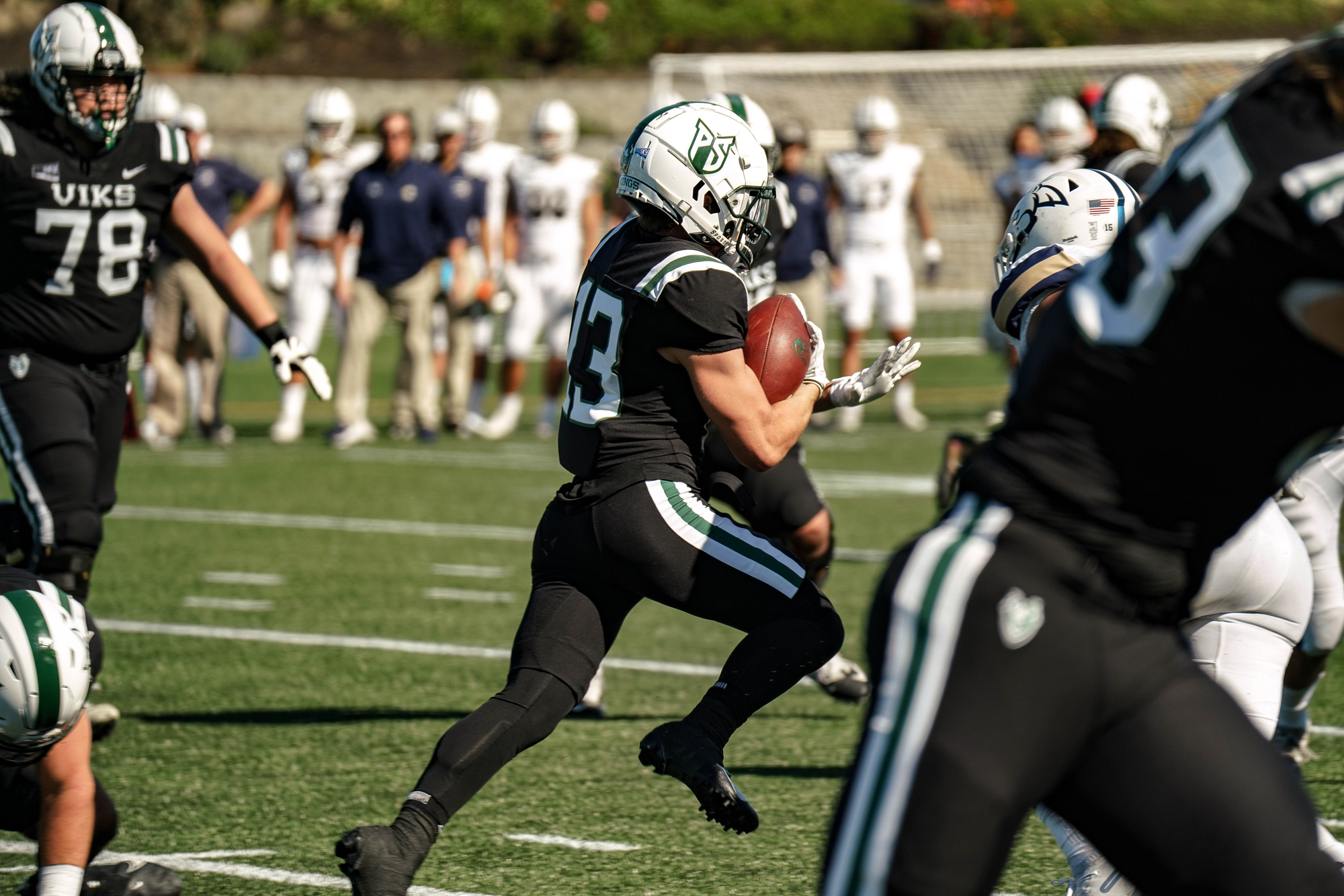 Portland State Vikings football vs. Montana State Bobcats - oregonlive.com