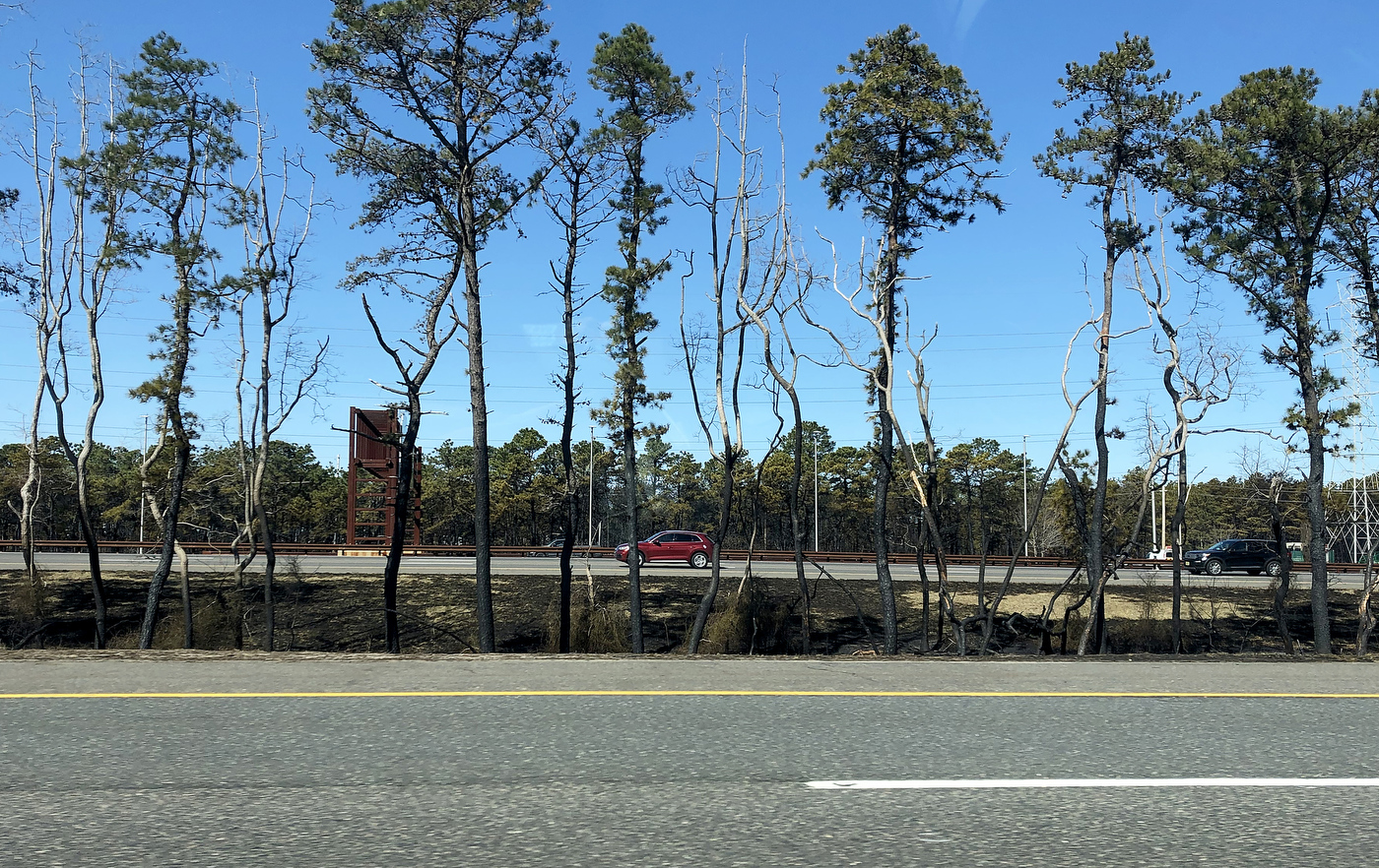 Damage from large brush fire in Brick and Lakewood, March 15, 2021 - nj.com