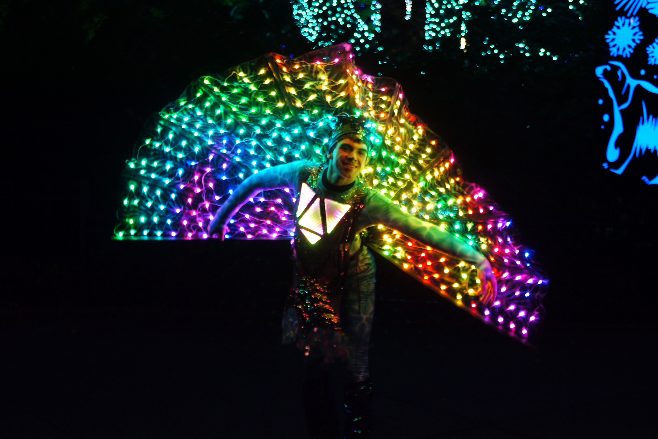 The Philadelphia Zoo LumiNature holiday 2022 light show - pennlive.com