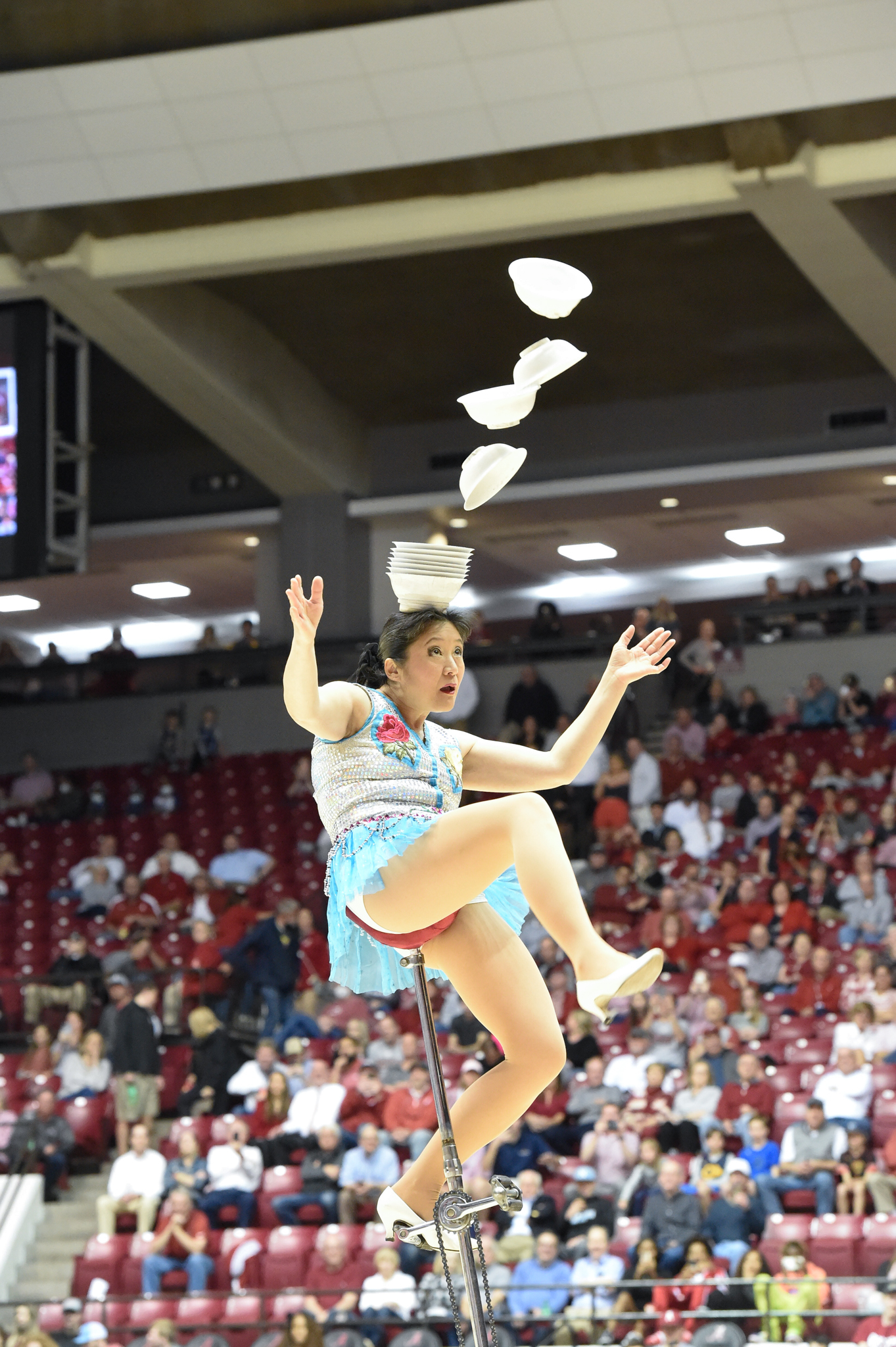 Red Panda Alabama Halftime 2022 - al.com
