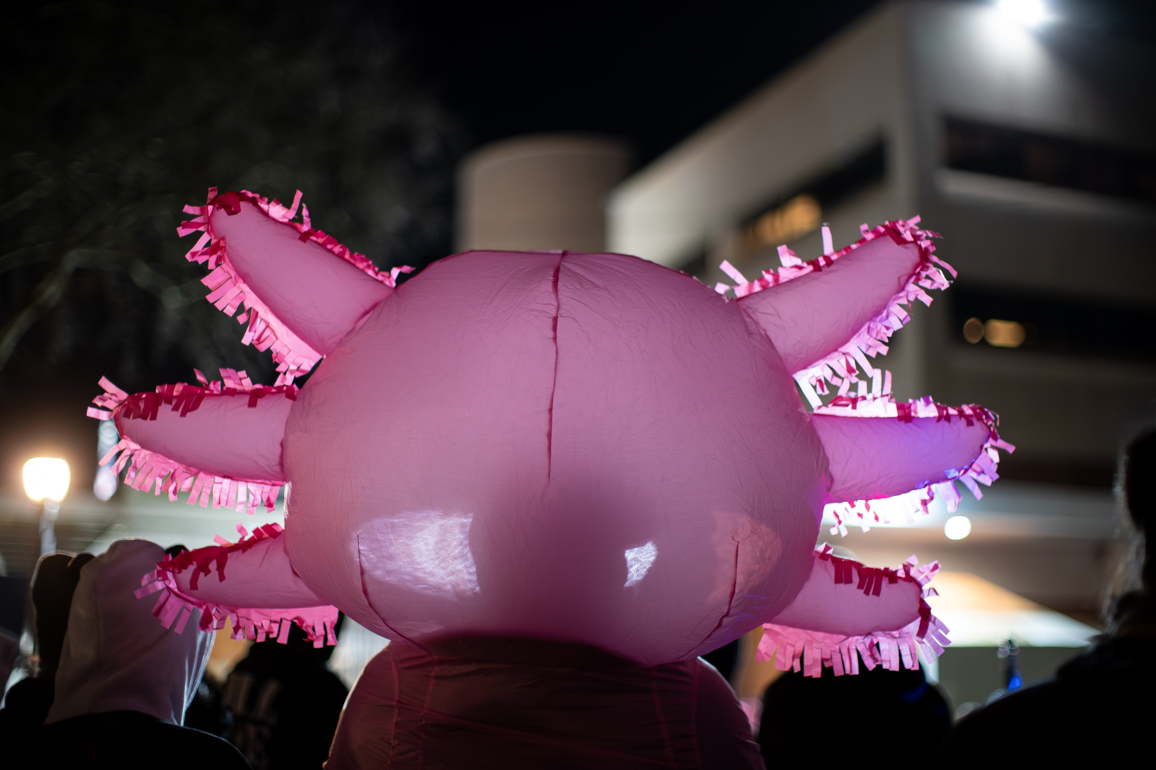 Frog Brigade closes day of protests at ICE building - oregonlive.com