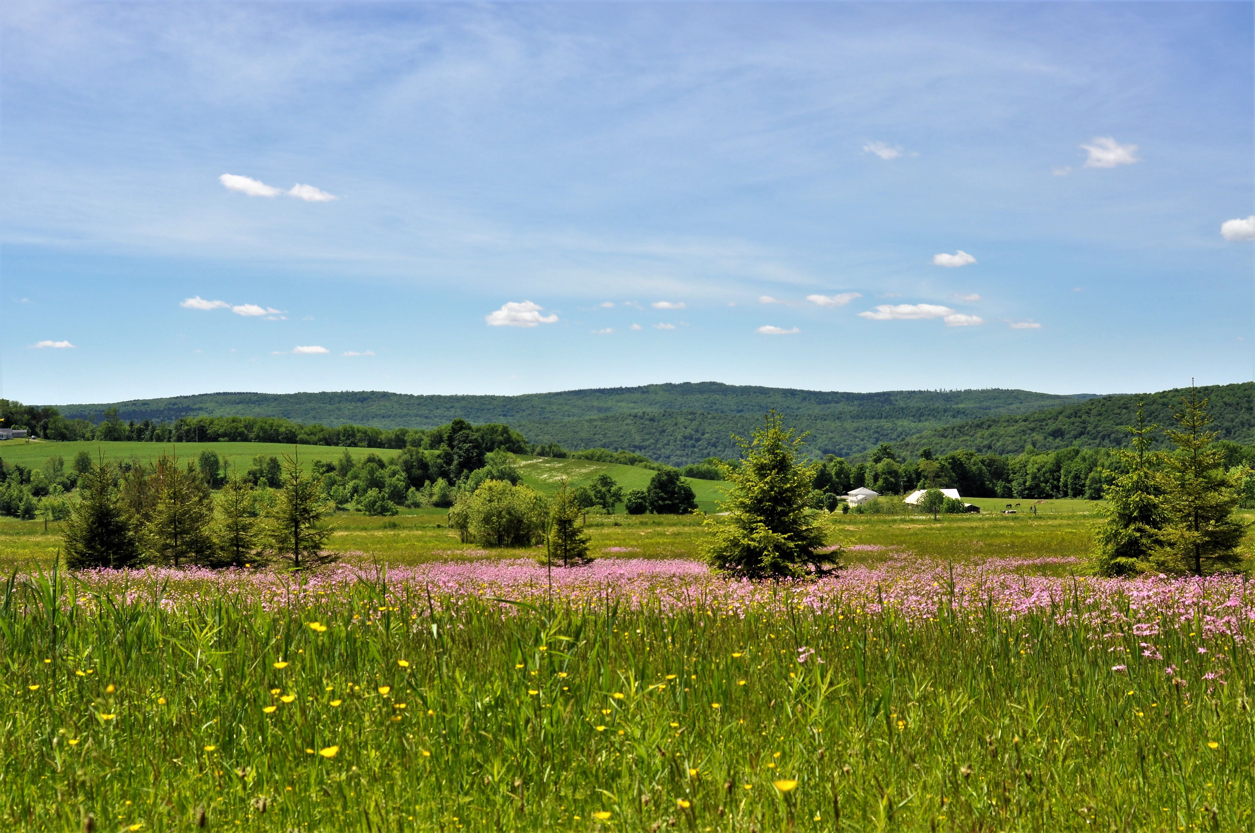 123-acre Lincklaen farm has enormous agribusiness potential - syracuse.com