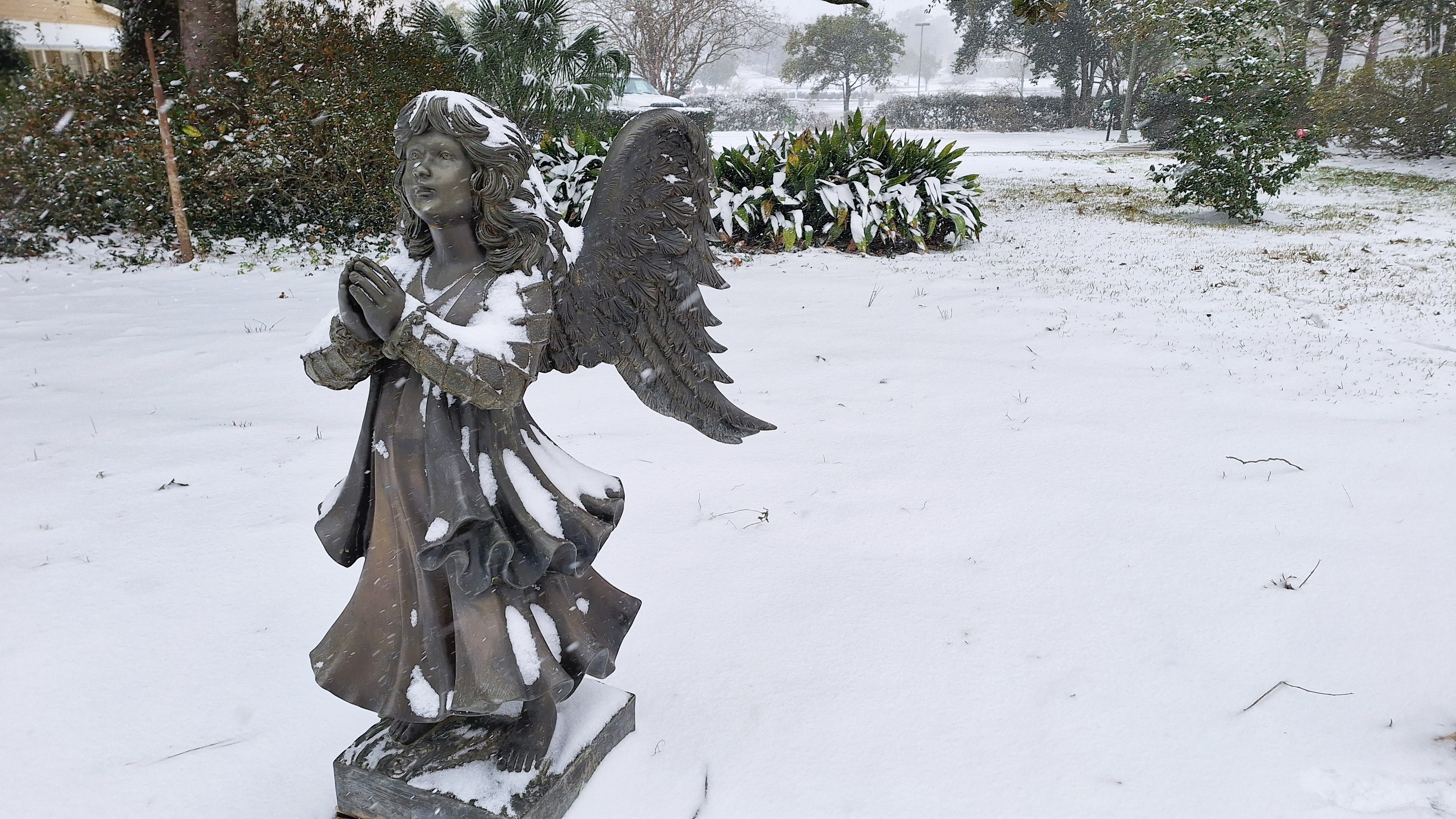 Rare south Alabama snow Jan. 21, 2025 - al.com
