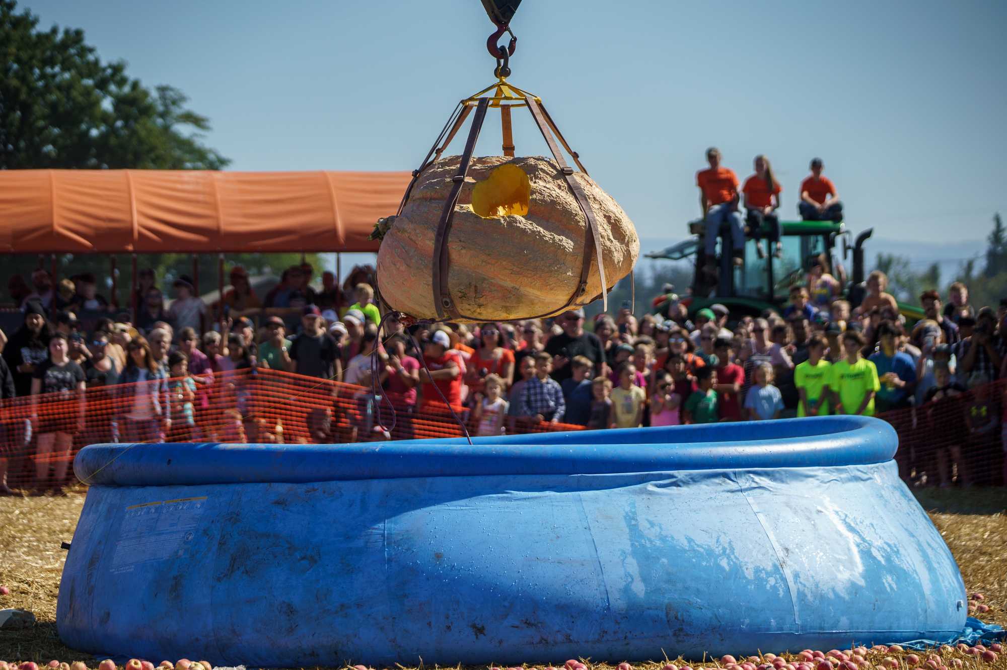 Bauman’s Giant Pumpkin Drop 2022 - oregonlive.com