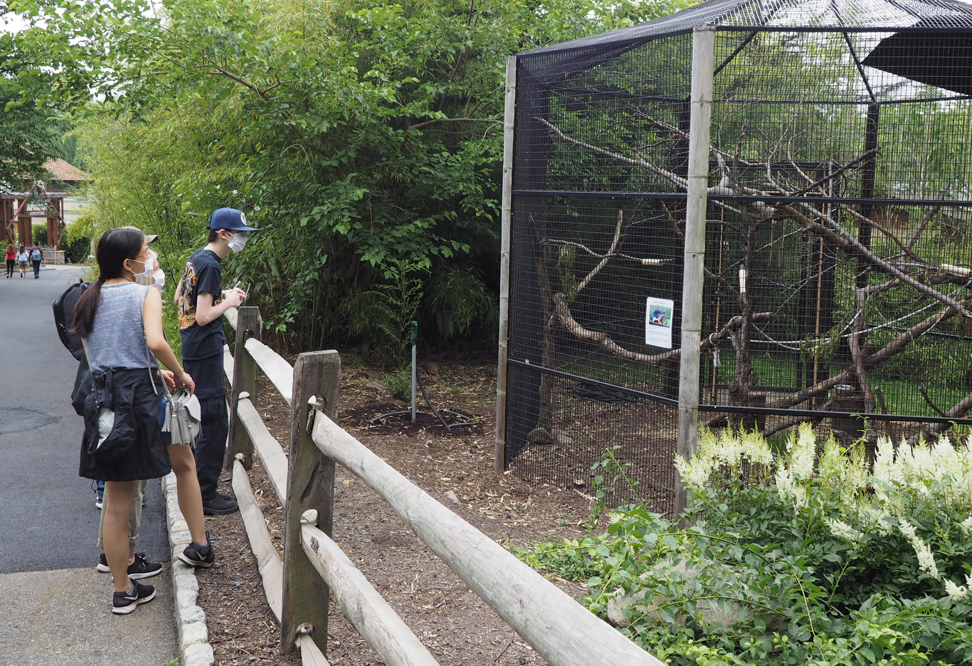 Turtle Back Zoo reopens after pandemic restrictions lifted - nj.com