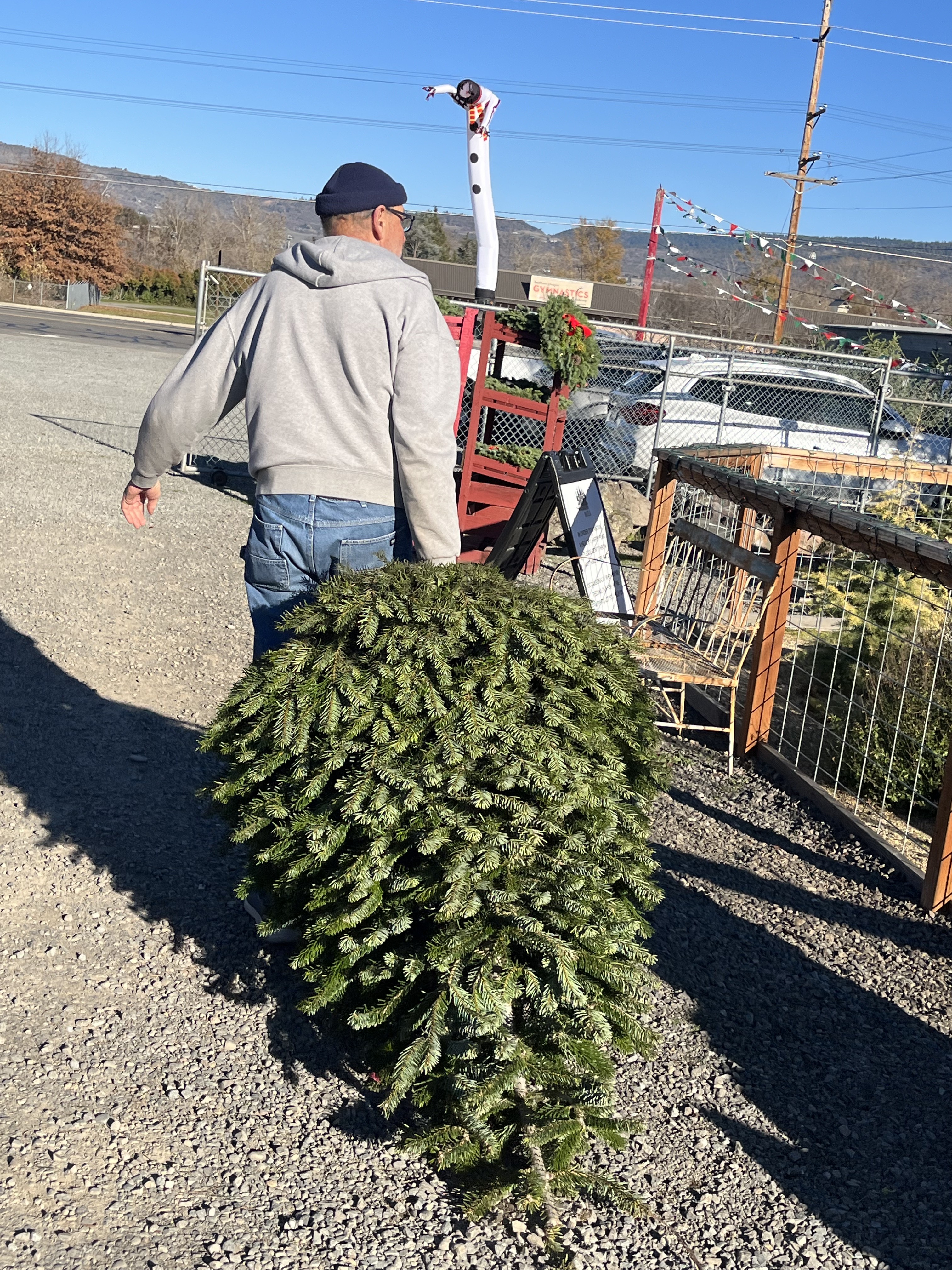 Real Oregon Christmas trees - oregonlive.com