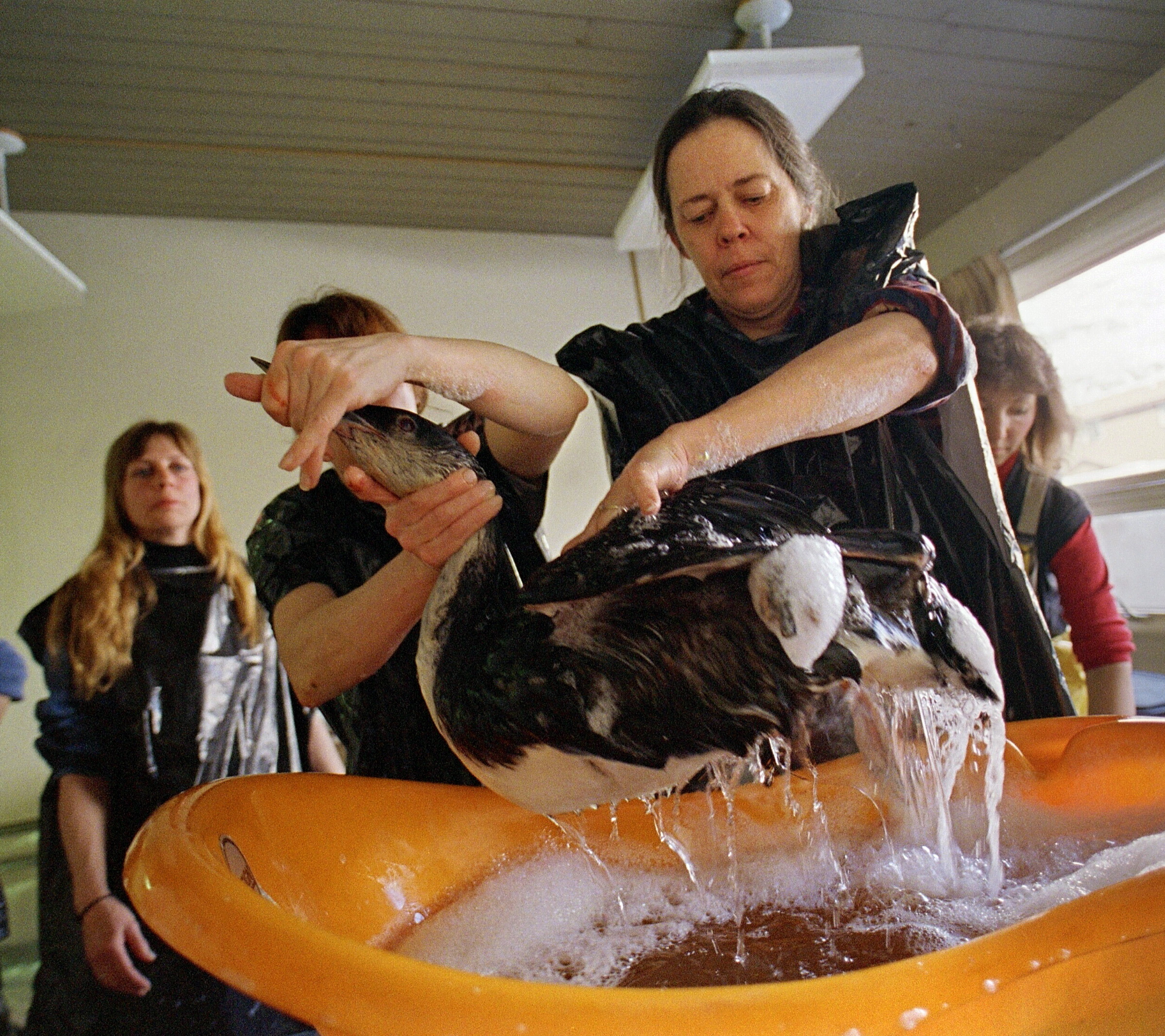 The Exxon Valdez oil spill in 1989 - pennlive.com