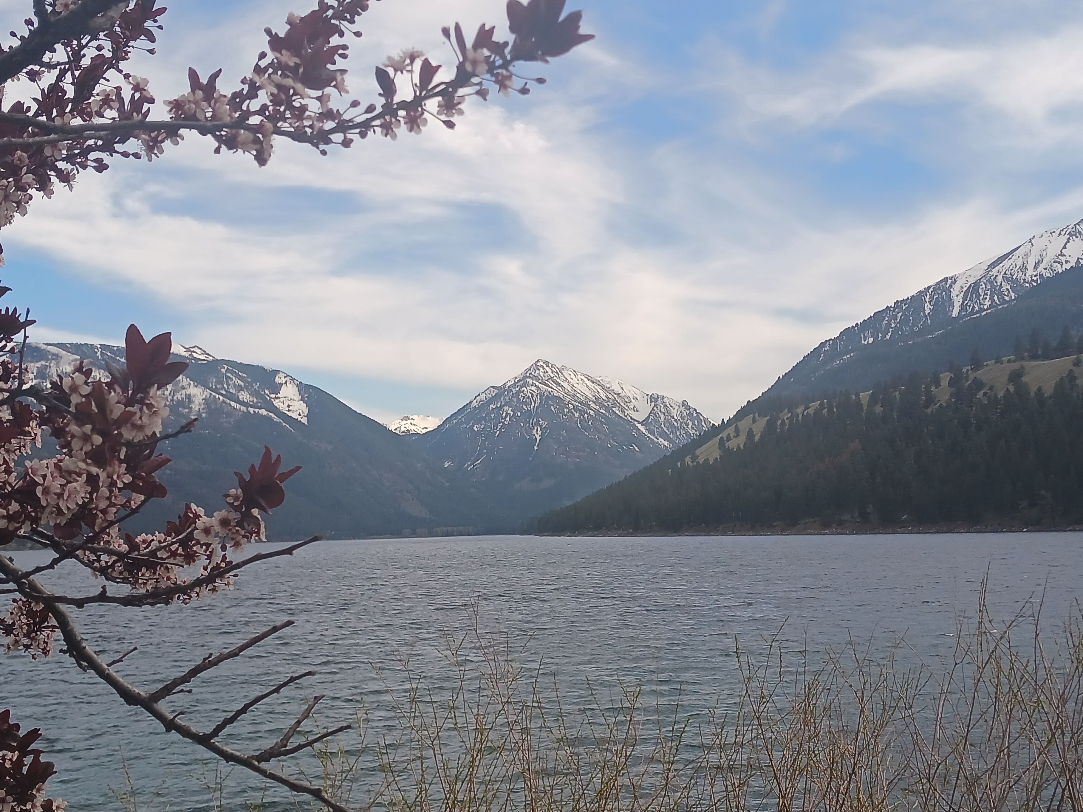 BLOODLINES: Nez Perce Art - oregonlive.com