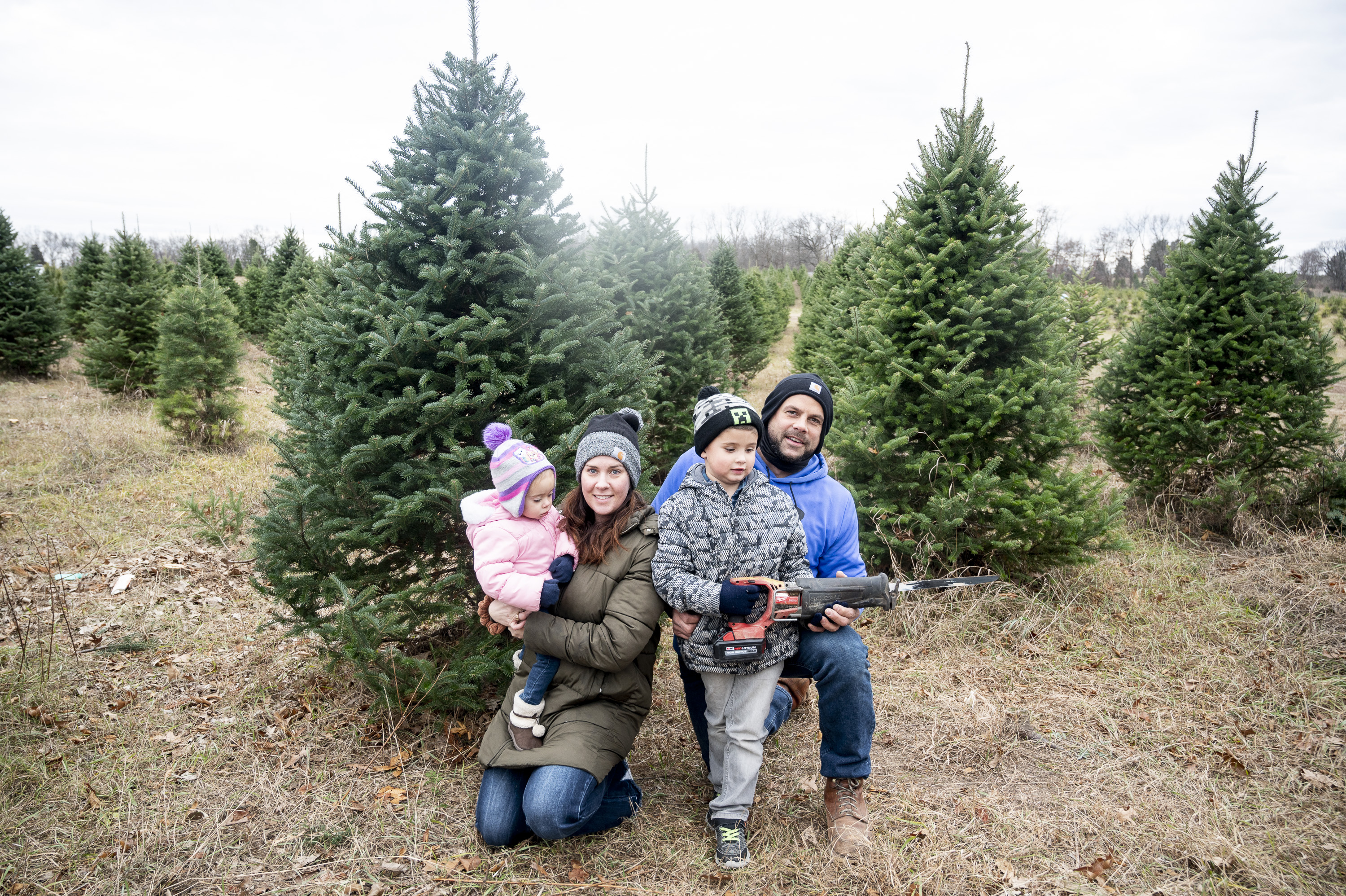 Arend Tree Farm continues four-generation tradition of Christmas U-Cut ...