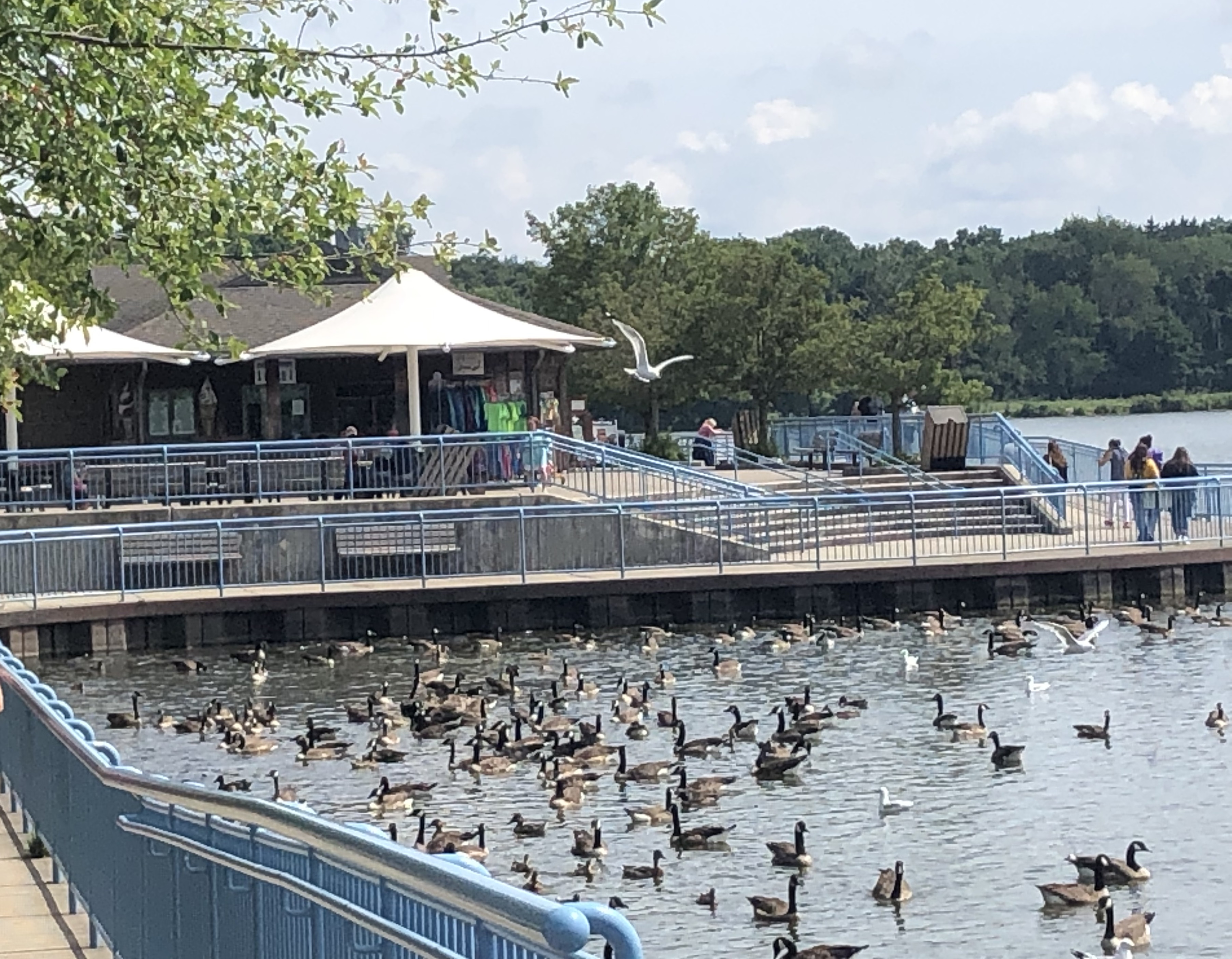 Pymatuning Spillway - cleveland.com
