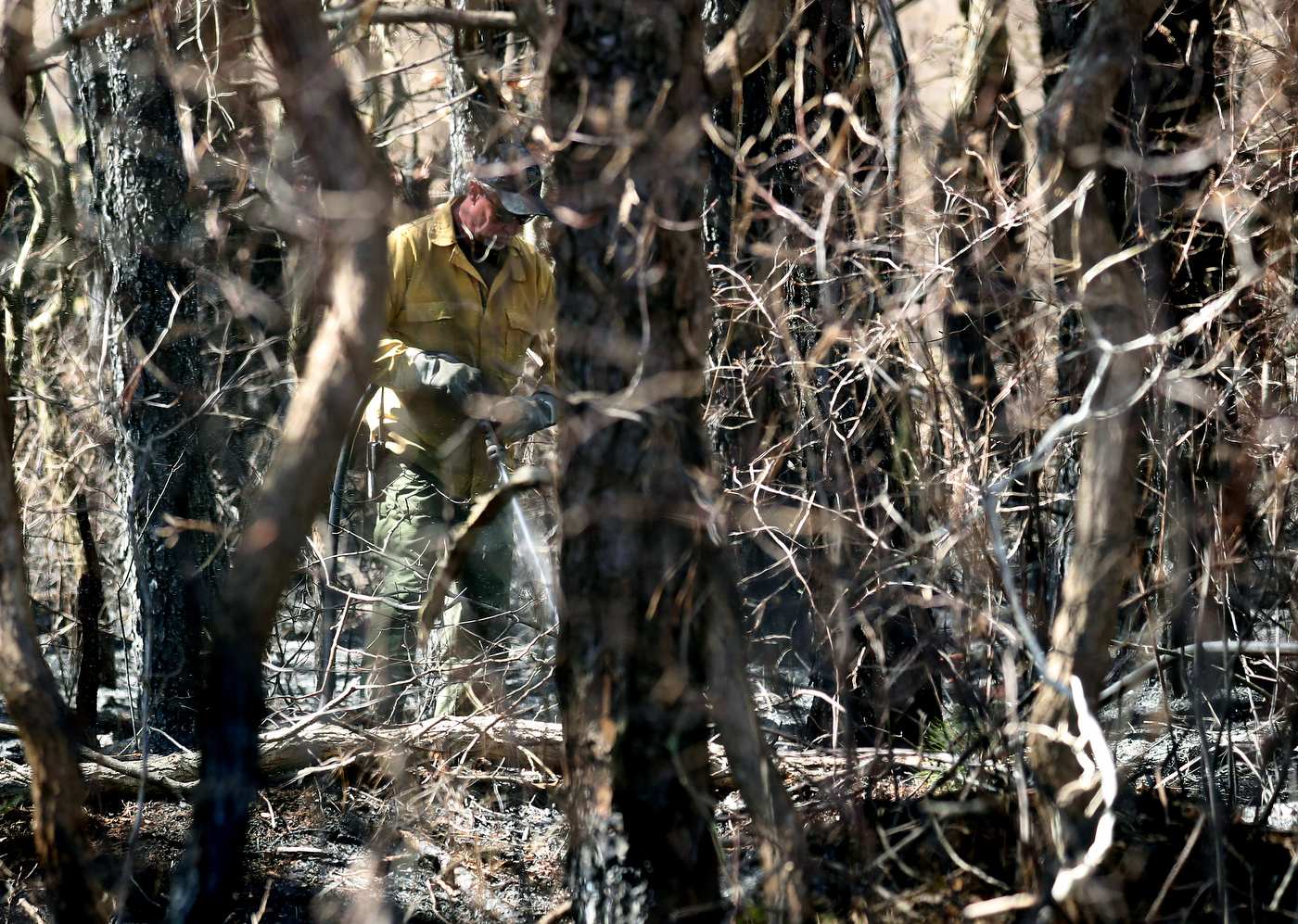 Damage from large brush fire in Brick and Lakewood, March 15, 2021 - nj.com