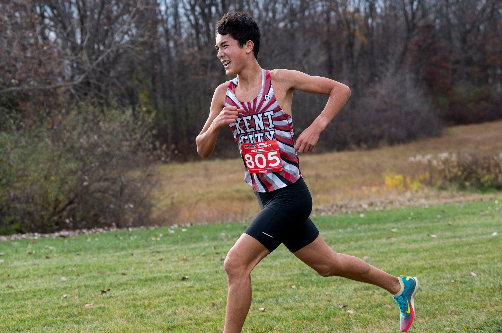 Division 3 boys Michigan state cross country championships 2022 - mlive.com