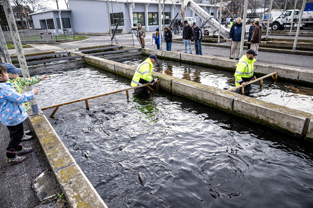 Pennsylvania trout stocking 2024 - pennlive.com