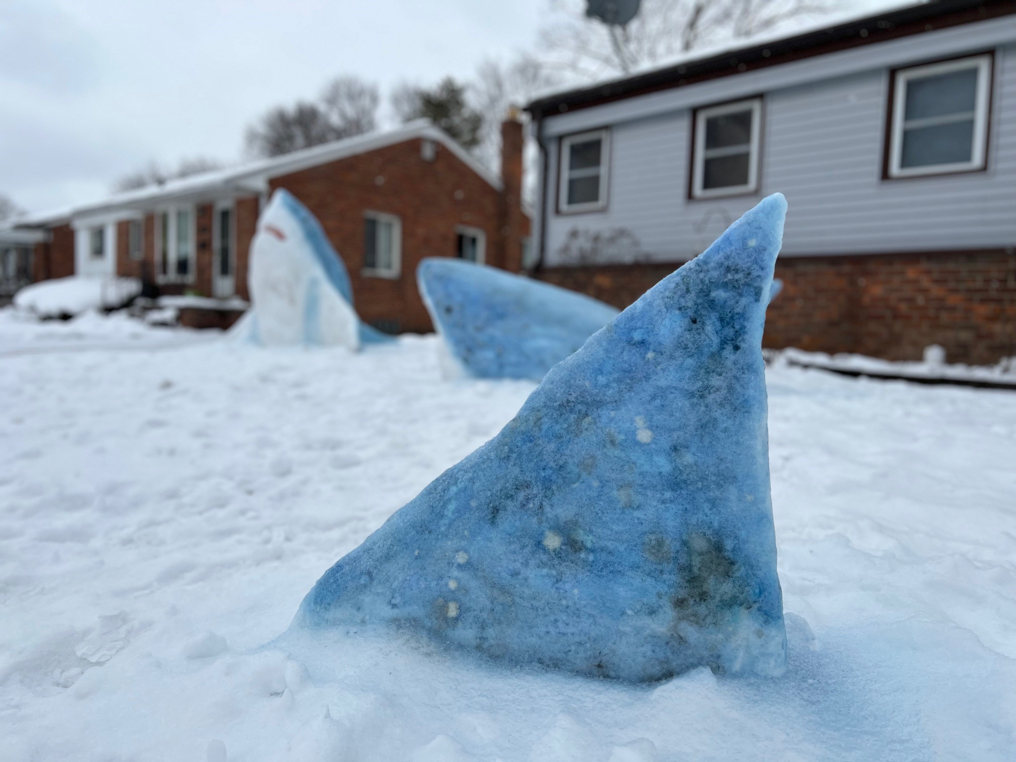 Michigan woman creates snow sharks on her front lawn. - mlive.com