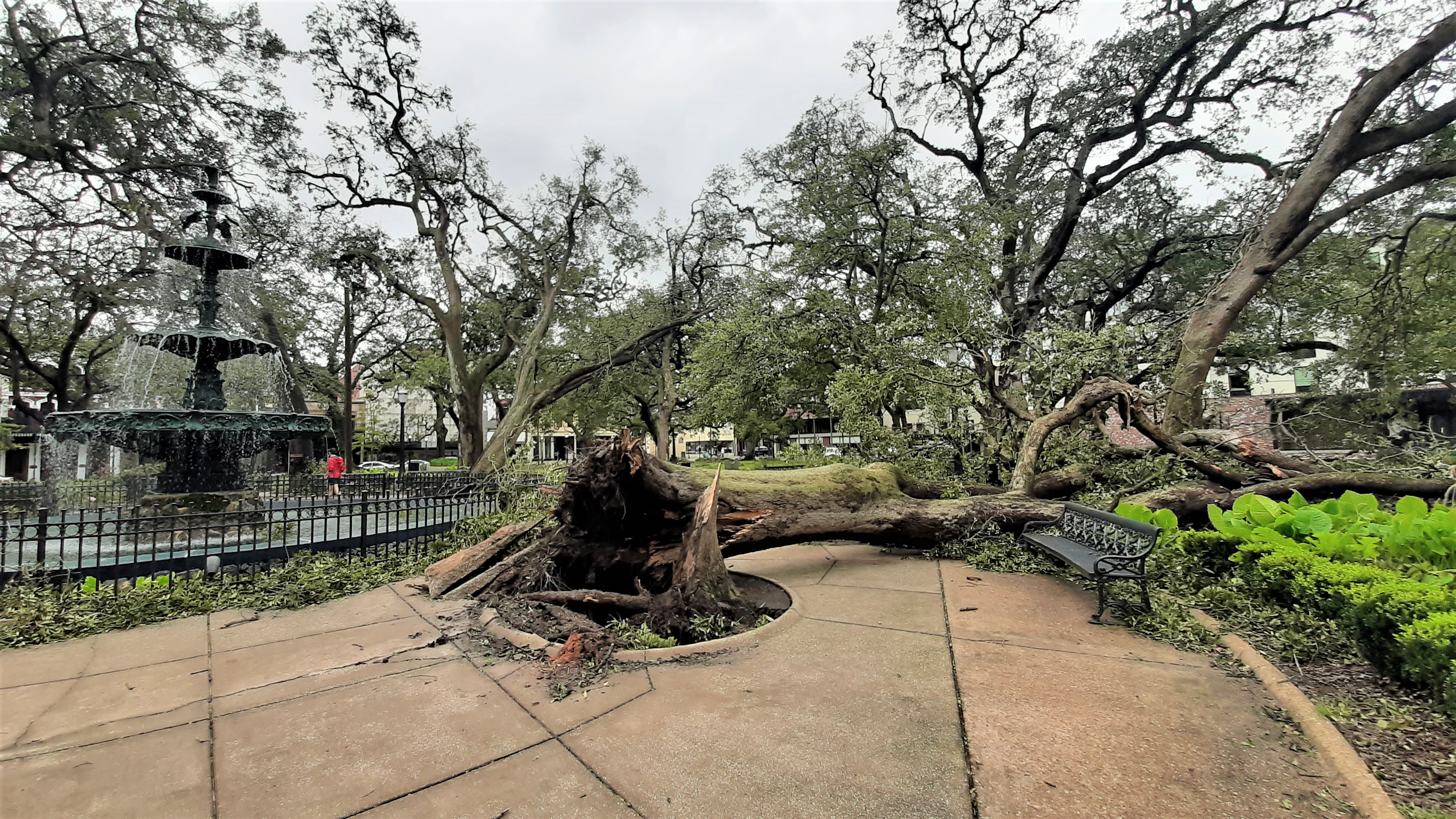 Hurricane Sally damage in coastal Alabama - pennlive.com