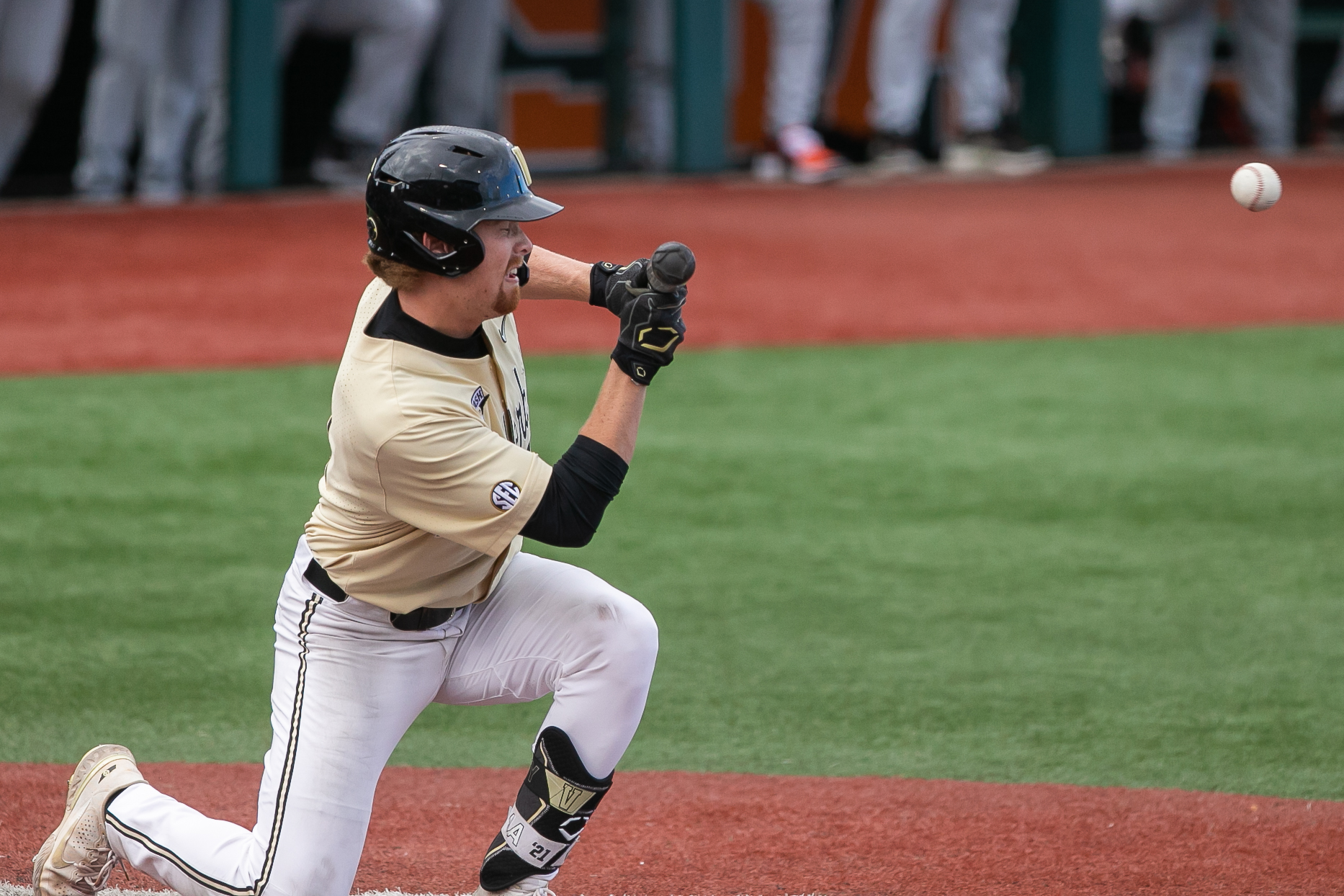Oregon State Beavers vs. Vanderbilt in Corvallis Regional - oregonlive.com
