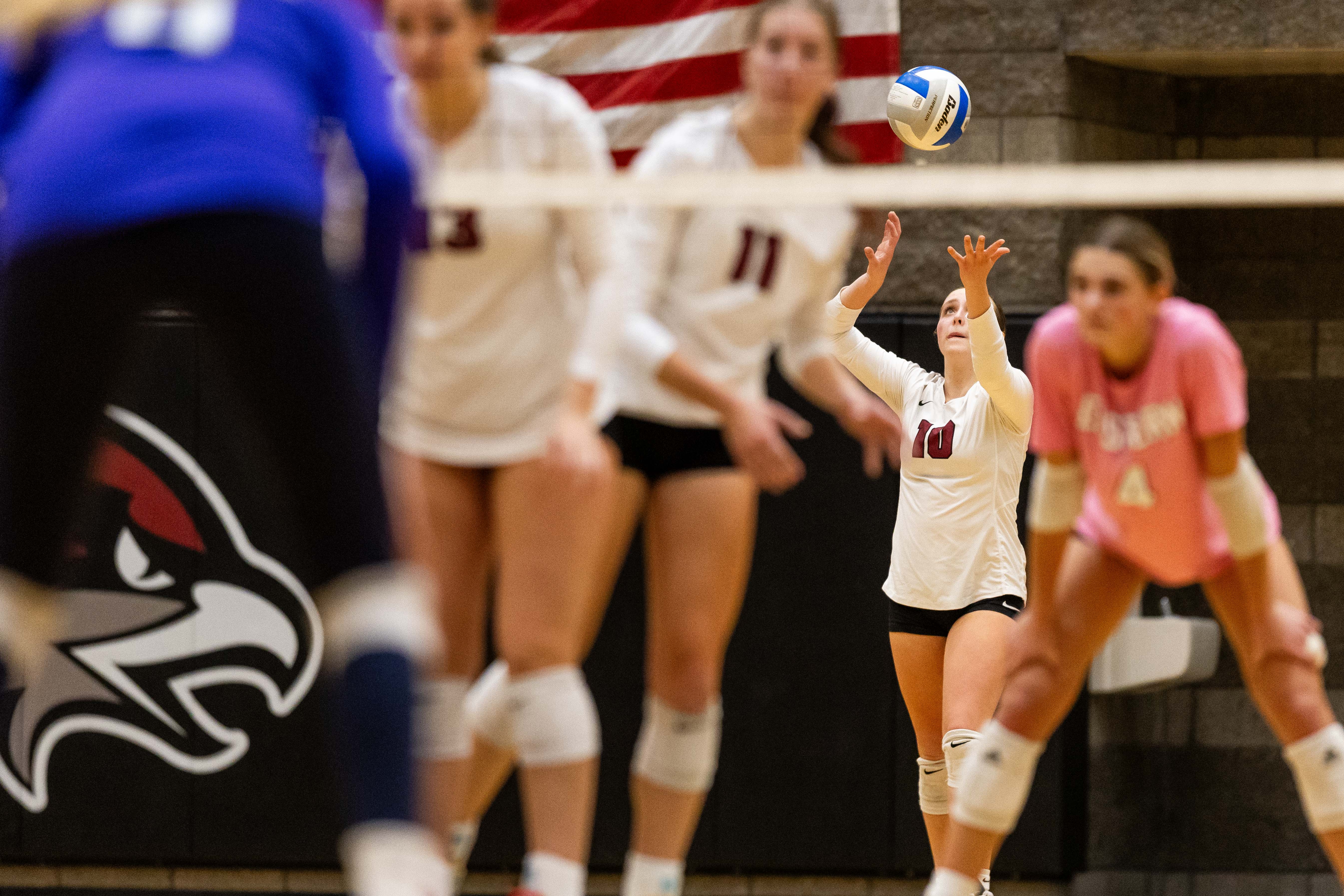 D2 volleyball regional semifinals at Forest Hills High School - mlive.com