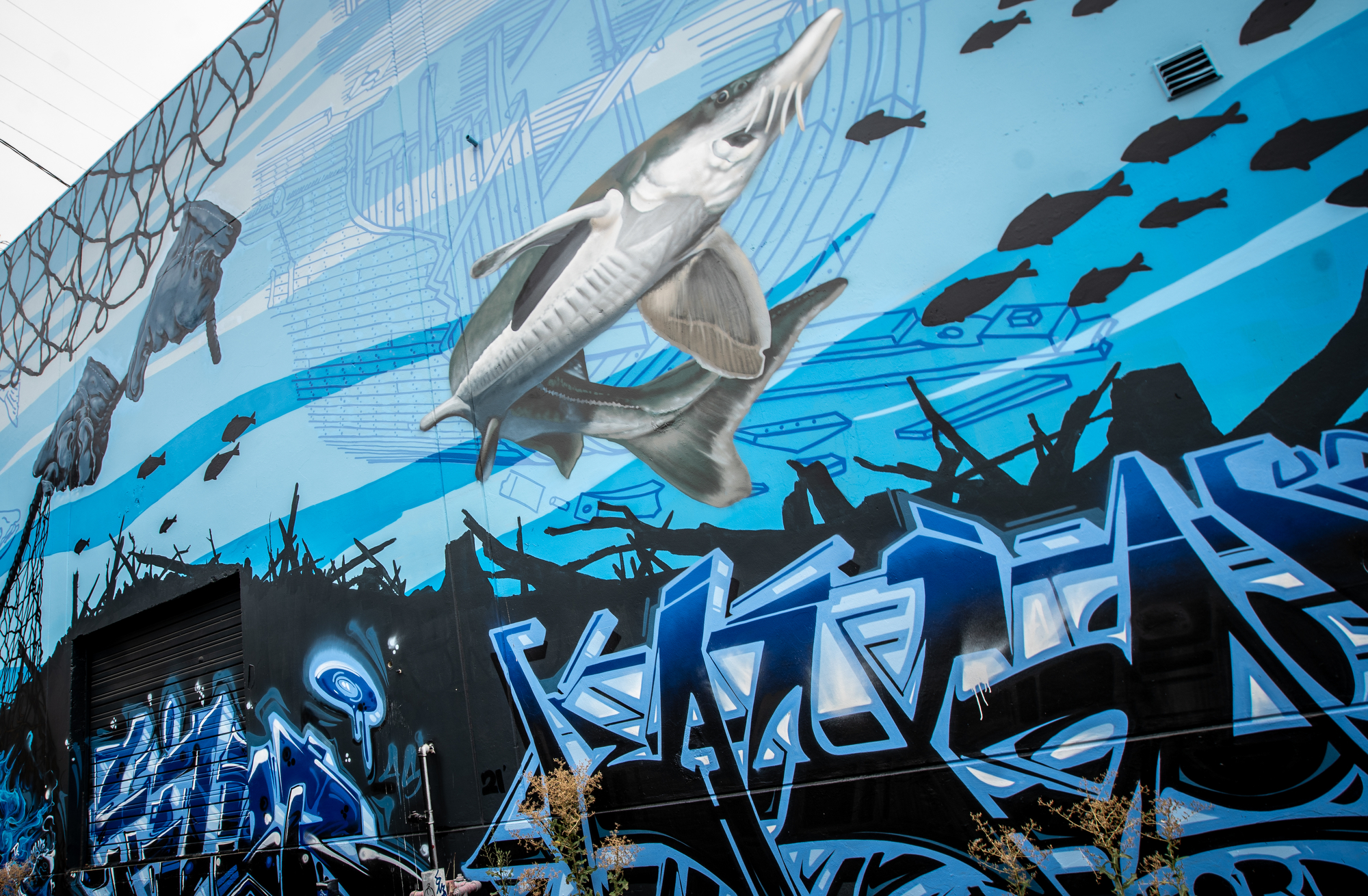 Portland murals 2023 - oregonlive.com
