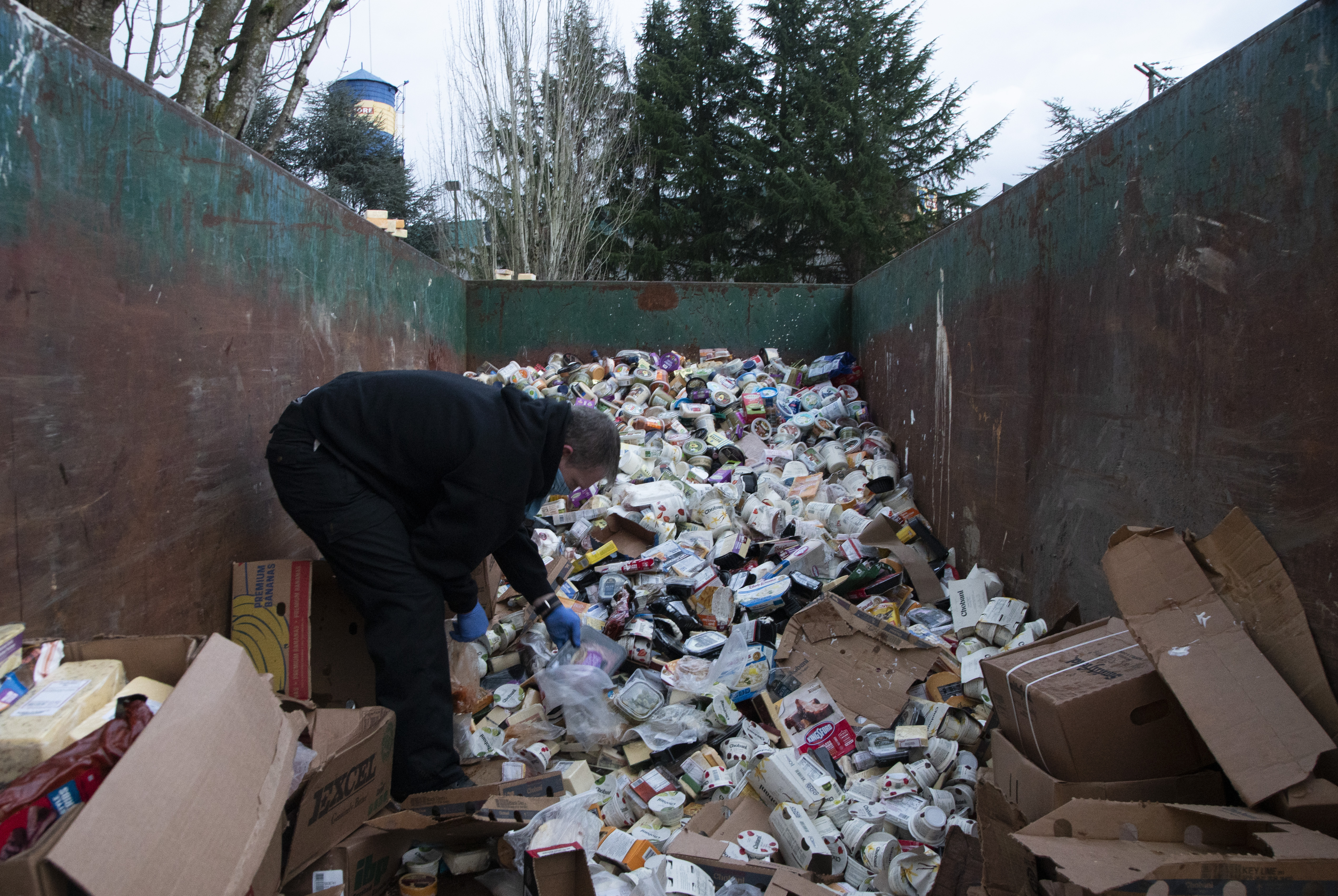 Portlanders gather perishable foods from dumpster - oregonlive.com
