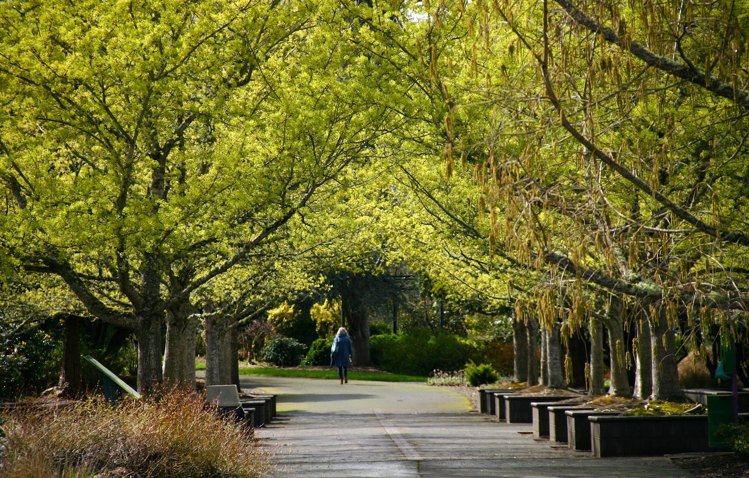 Oregon Garden springtime - oregonlive.com