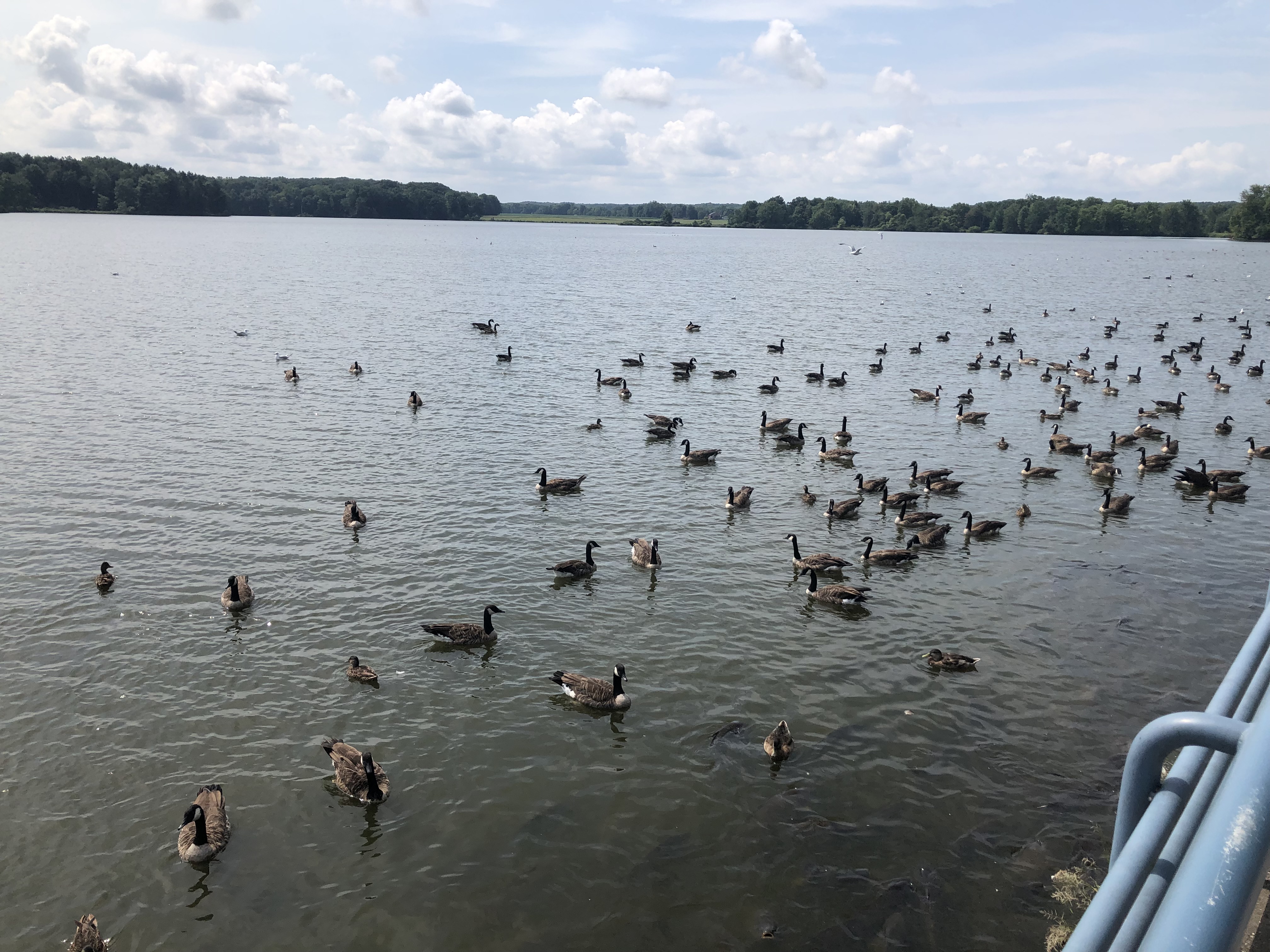 Pymatuning Spillway - cleveland.com