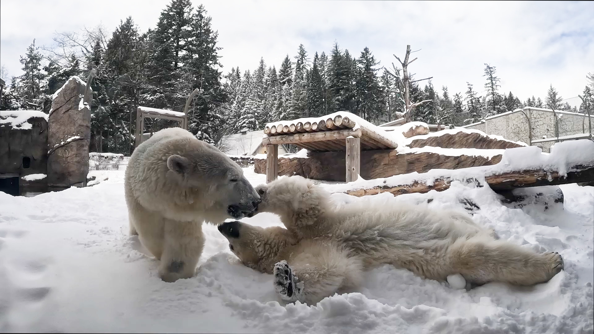 The Oregon Zoo - oregonlive.com