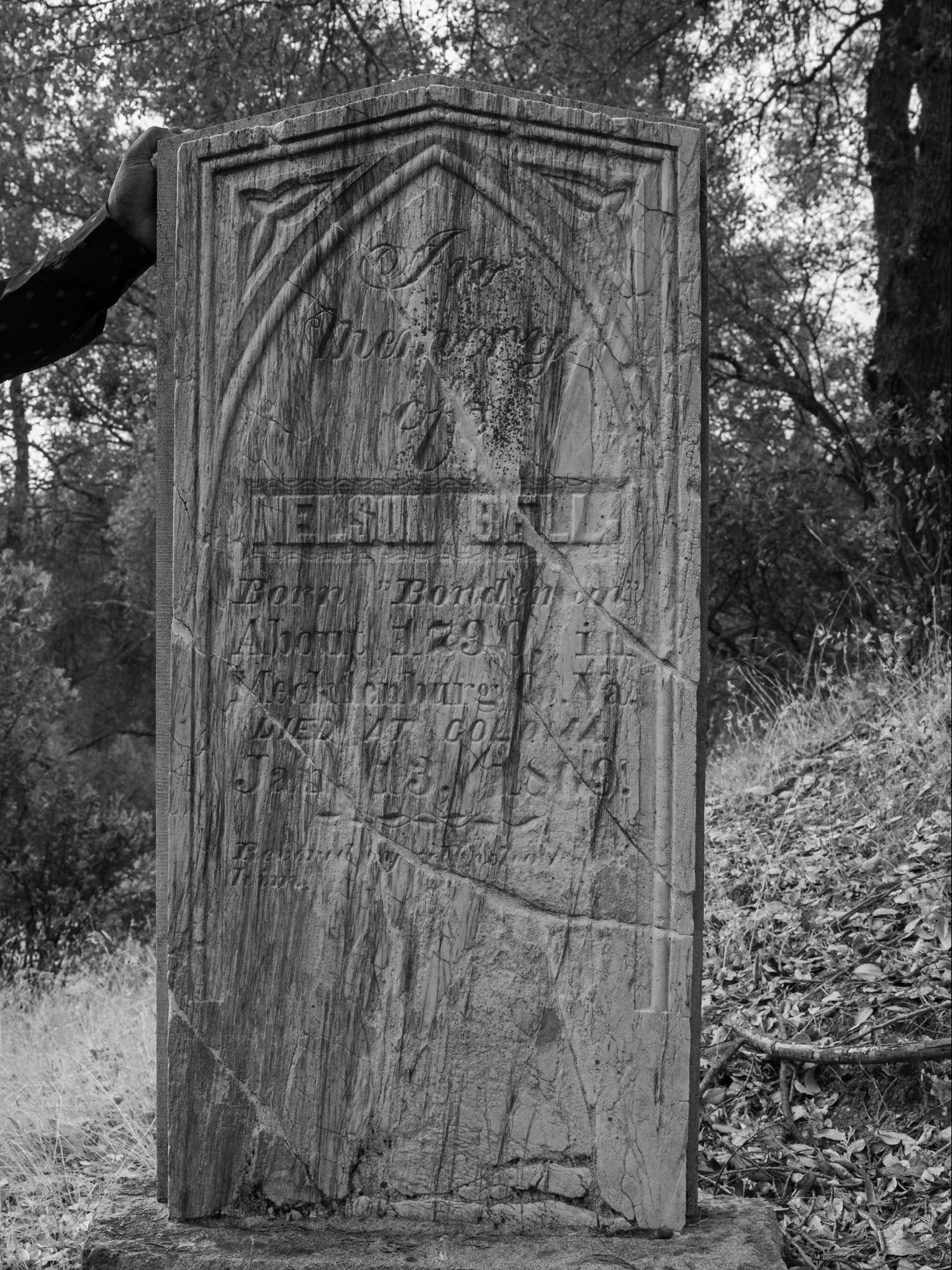 Gold rush for Palabra - nj.com