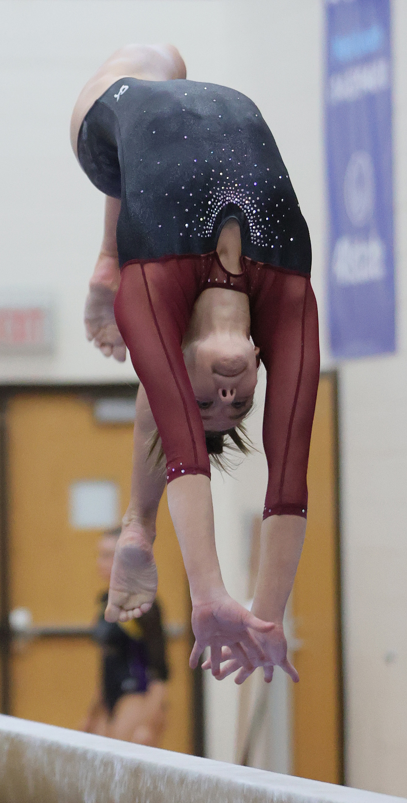State High School Gymnastics Individual Championship, March 4, 2023 ...