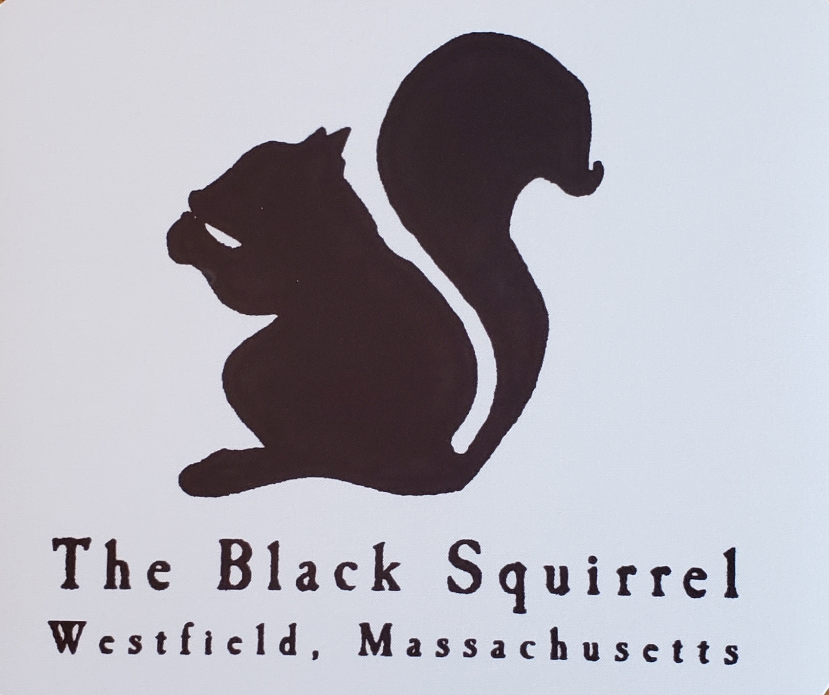 The Black Squirrel of Westfield - masslive.com