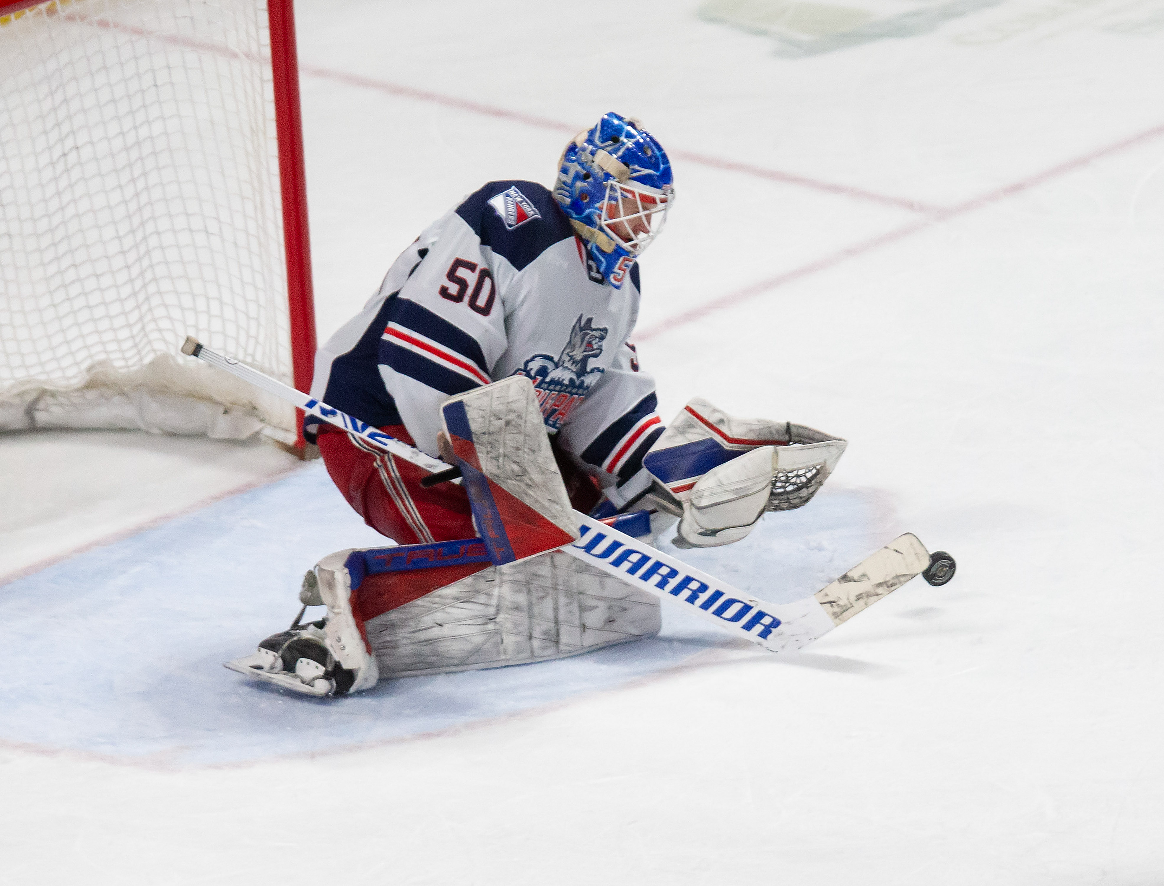 Hershey Bears vs Hartford Wolf Pack in game 1 of Atlantic Division ...